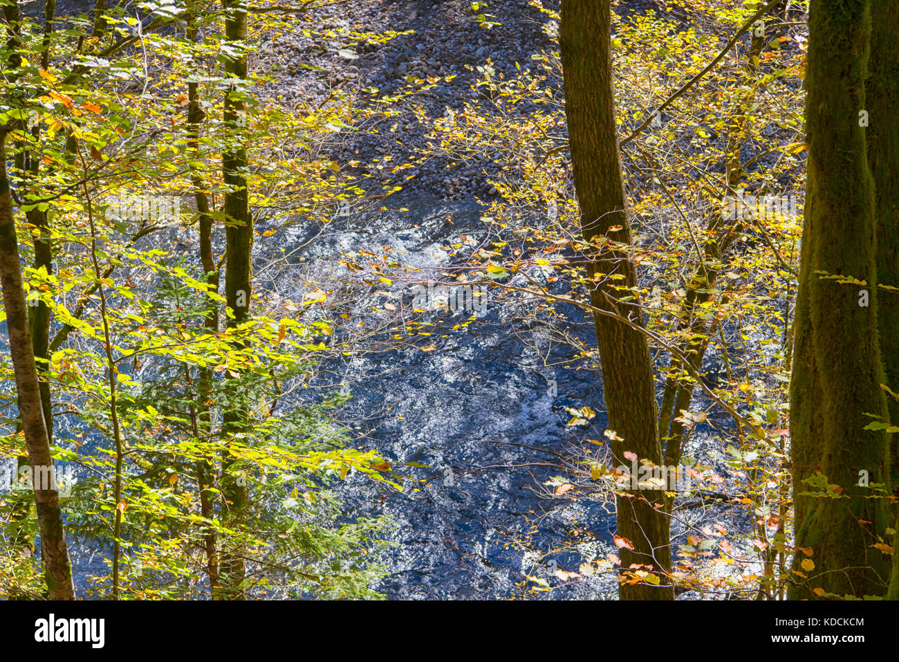 Kupa River at Risnjak National Park, Croatia Stock Photo - Alamy