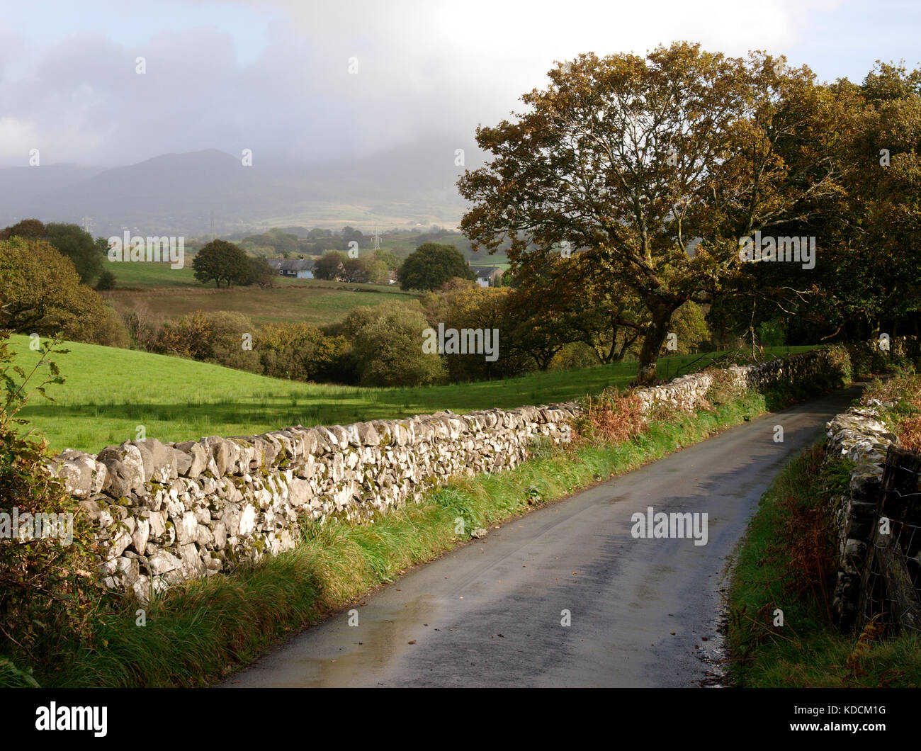 Narrow country road, Gwynedd, Snowdonia National Park, North Wales, UK ...