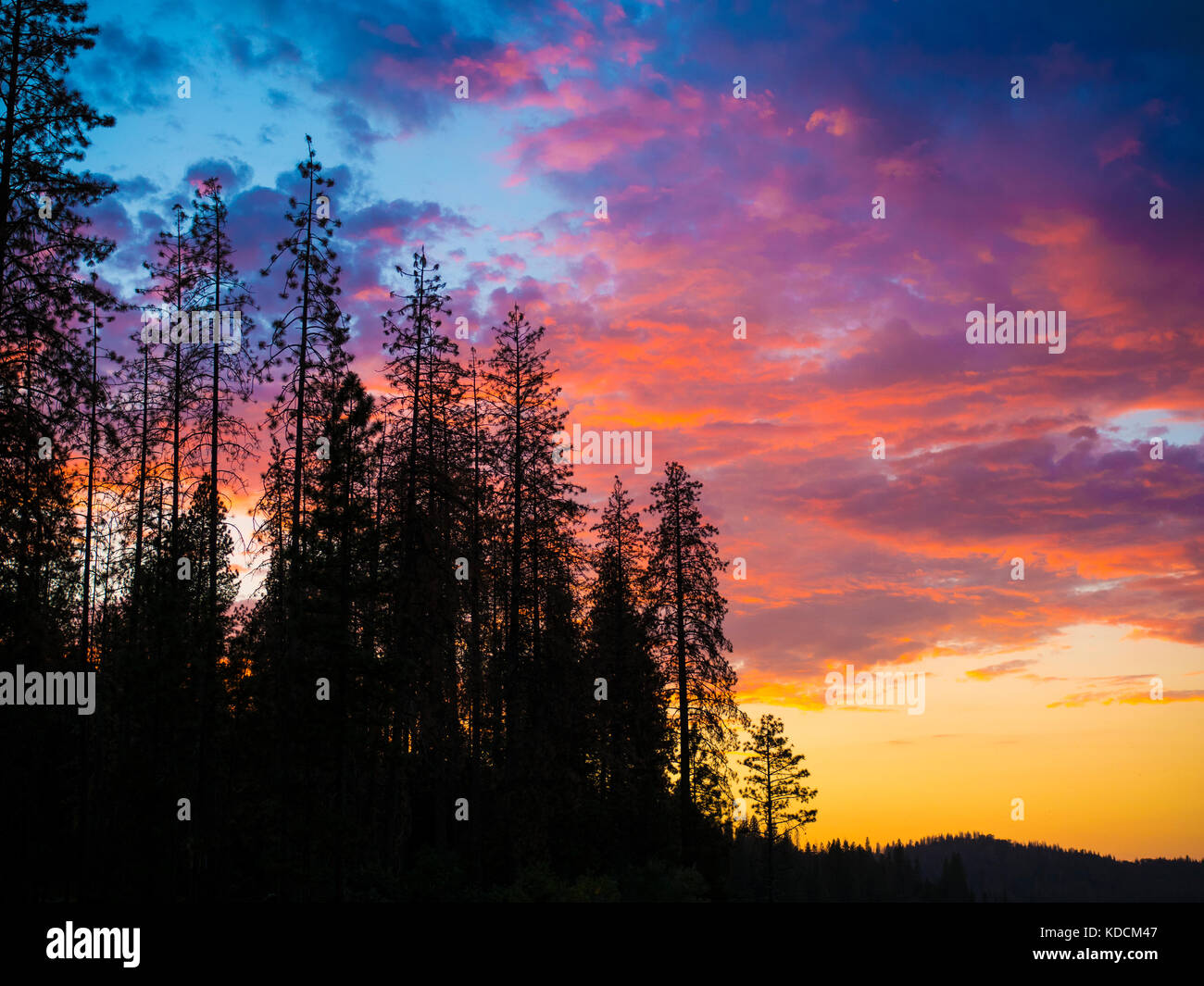 BASS LAKE - CALIFORNIA, USA Stock Photo - Alamy