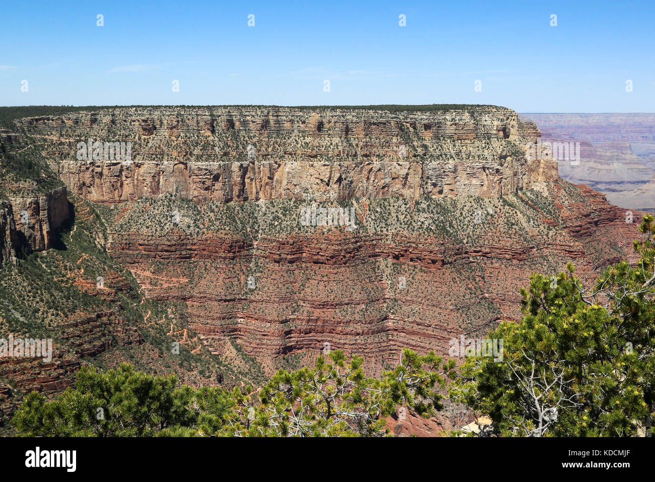 View from south rim of Grand Canyon Stock Photo - Alamy