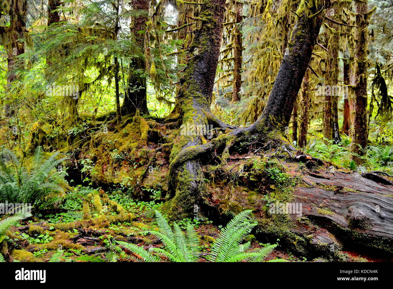 John Day Fossil Beds National Monument Oregon Stock Photo - Alamy