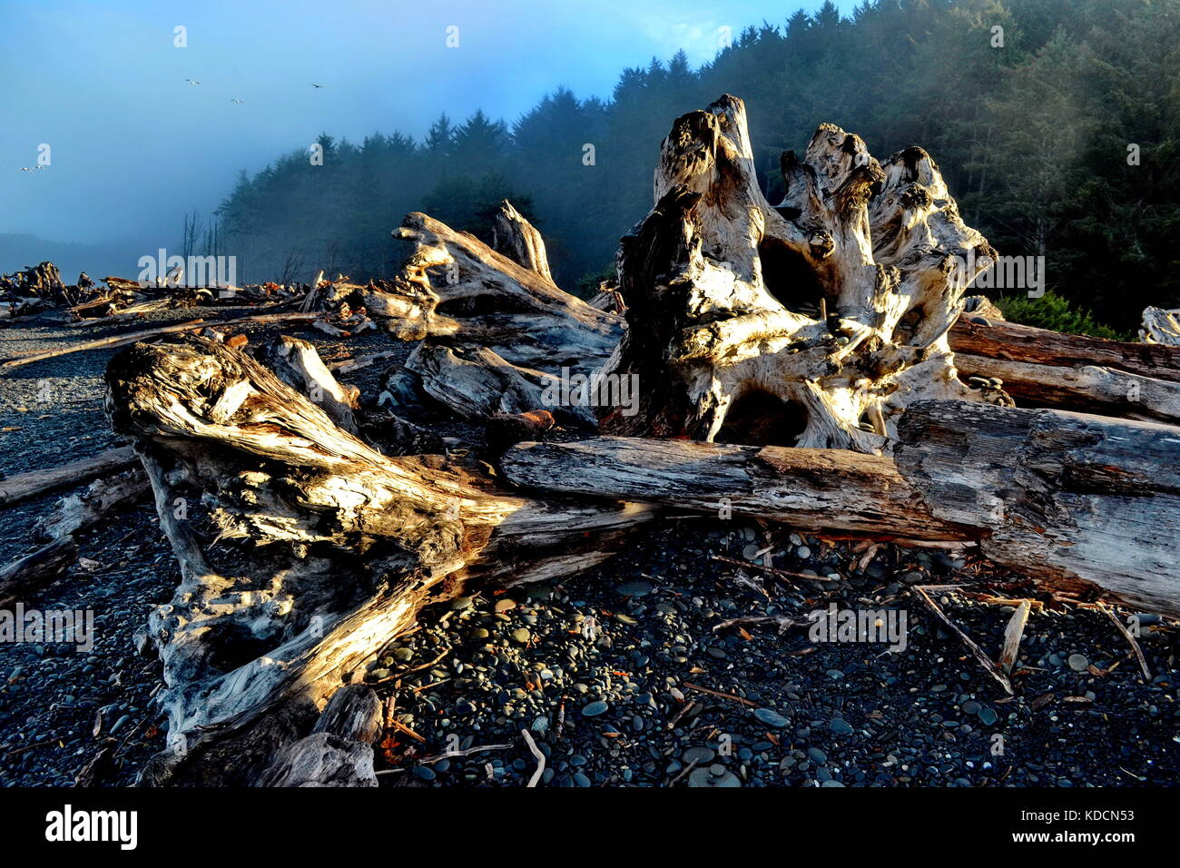 John Day Fossil Beds National Monument Oregon Stock Photo - Alamy