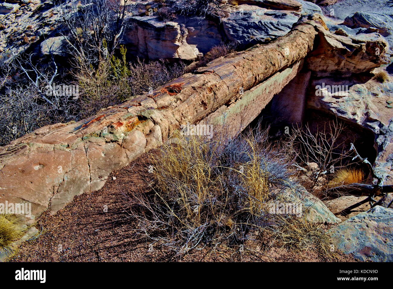 John Day Fossil Beds National Monument Oregon Stock Photo - Alamy