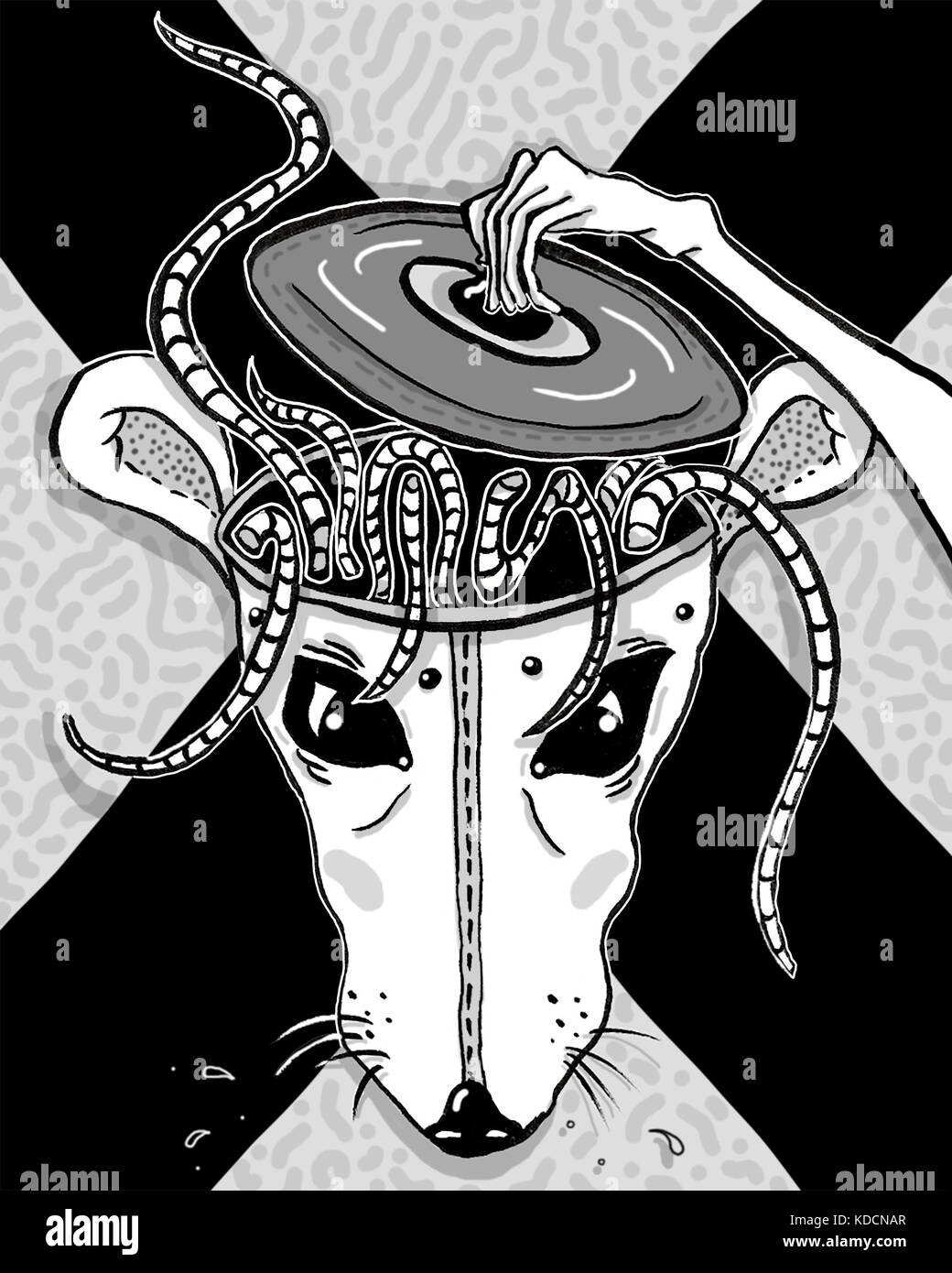 Rat brain hi-res stock photography and images - Alamy