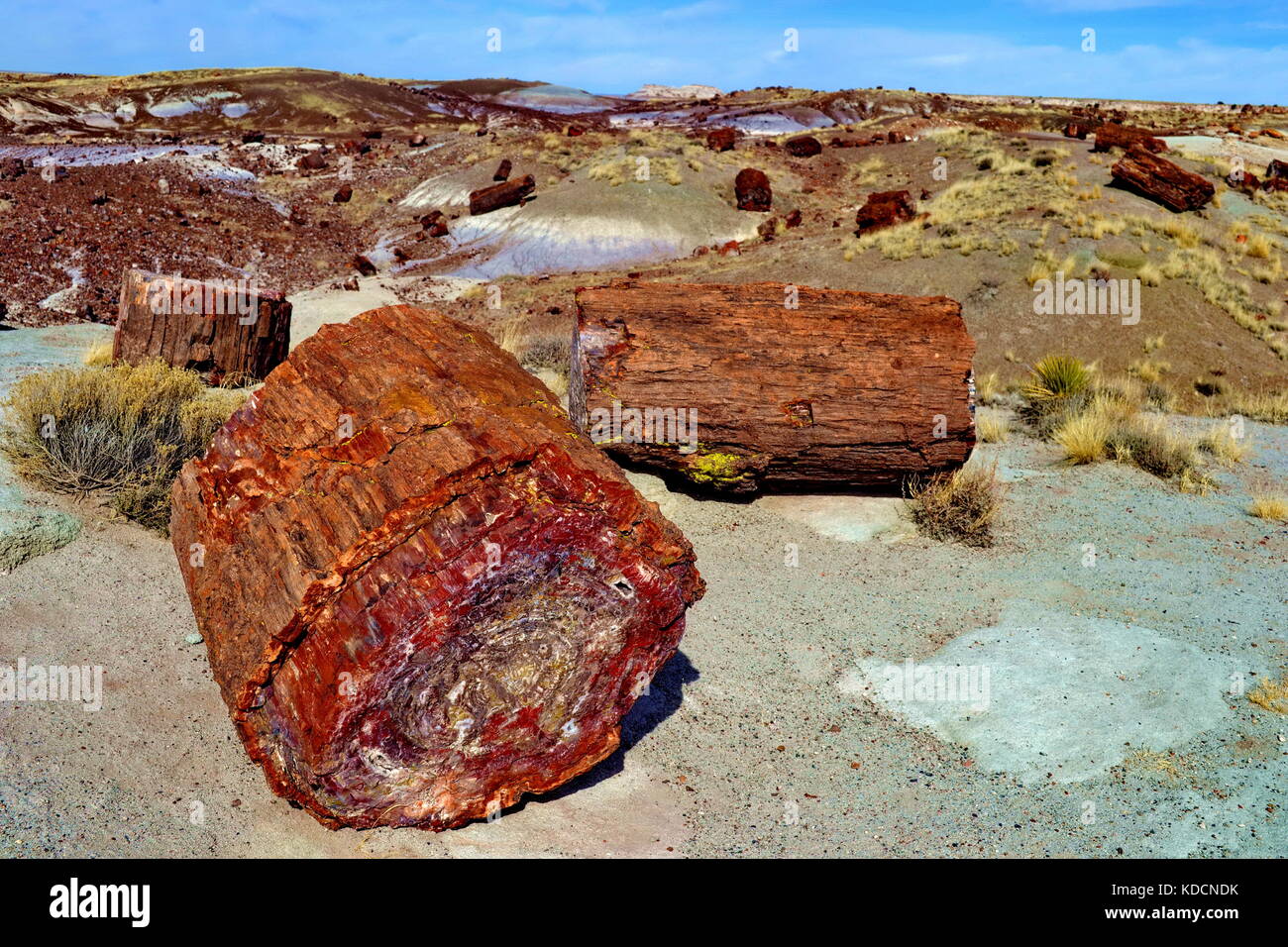 John Day Fossil Beds National Monument Oregon Stock Photo - Alamy