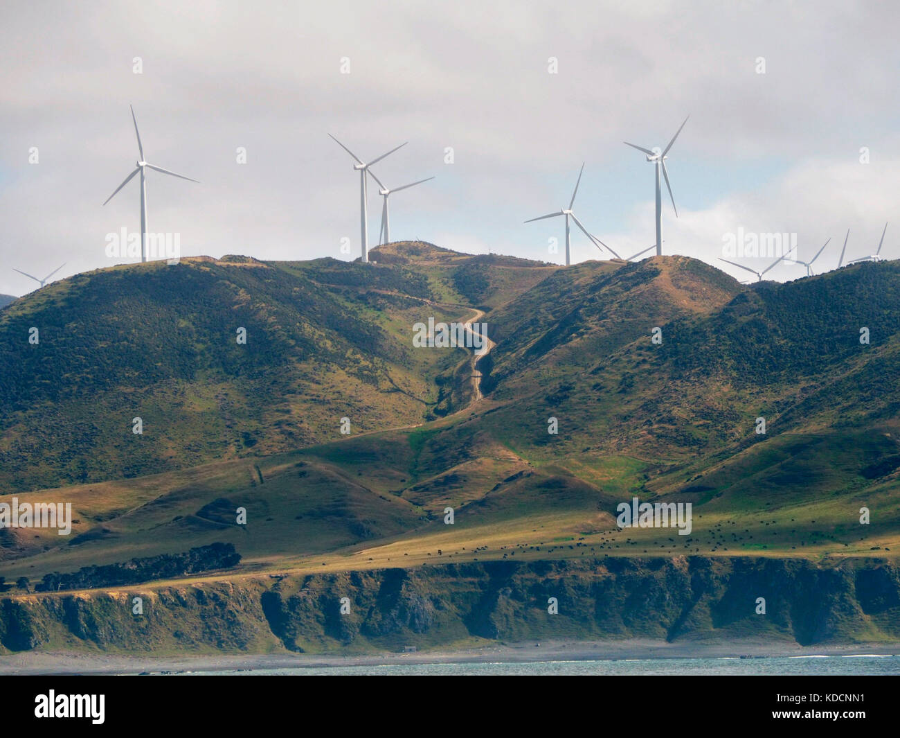 Wind farm seen from Interislander Ferry at South of Wellington, New ...