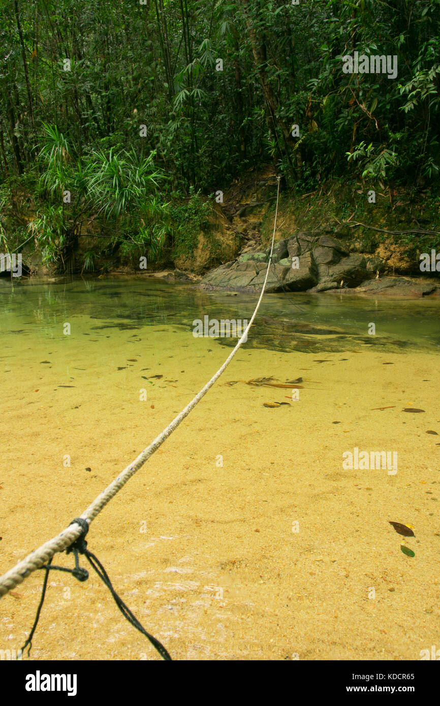 rope bridge at tropical rainforest, Chemerong Berembun Langsir, CBL ...
