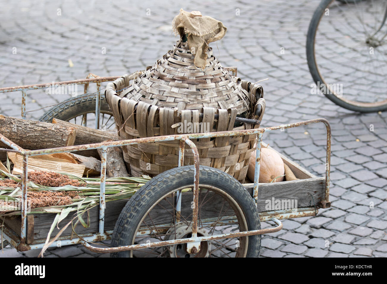 Asti, Italy - September 10, 2017: old demijohn wine is transported to ...