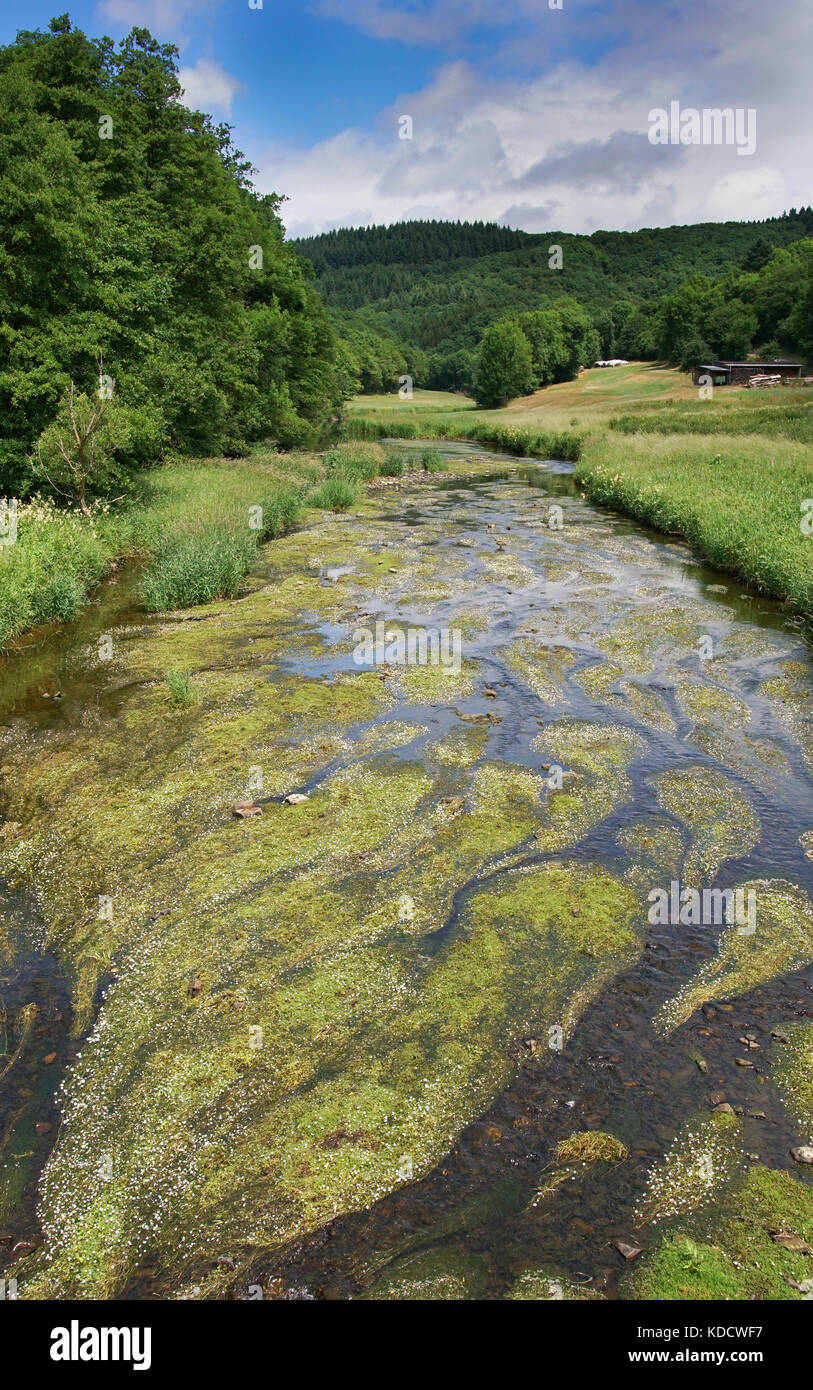 Landscape of Eifel area close to Bitburg, Germany, Europe Stock Photo ...