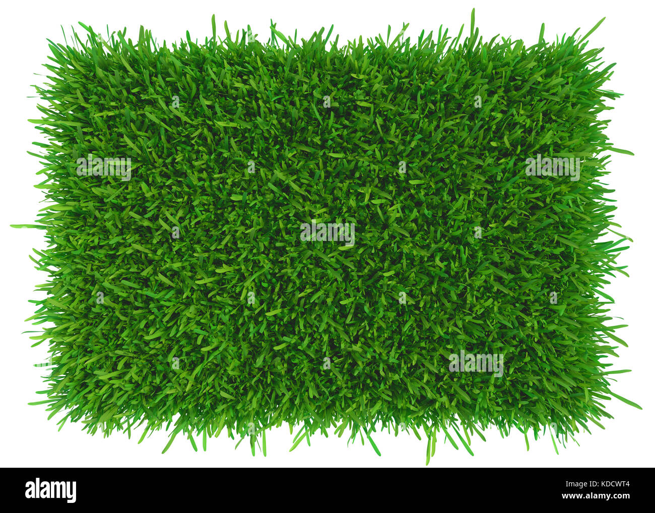 Grass background texture Stock Photo - Alamy