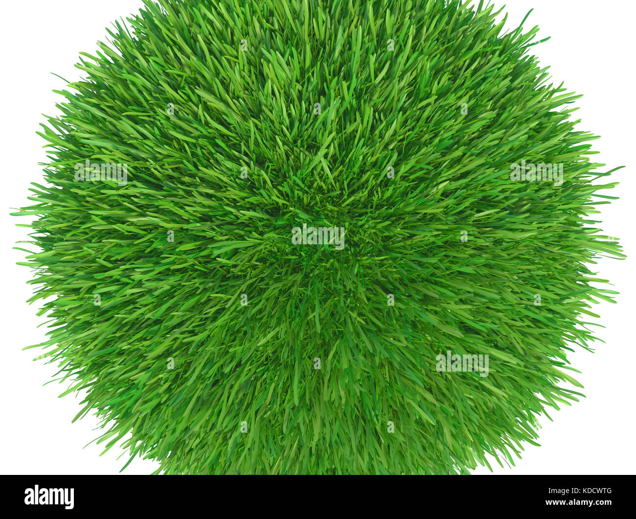 round piece of cropped grass to be installed Stock Photo - Alamy