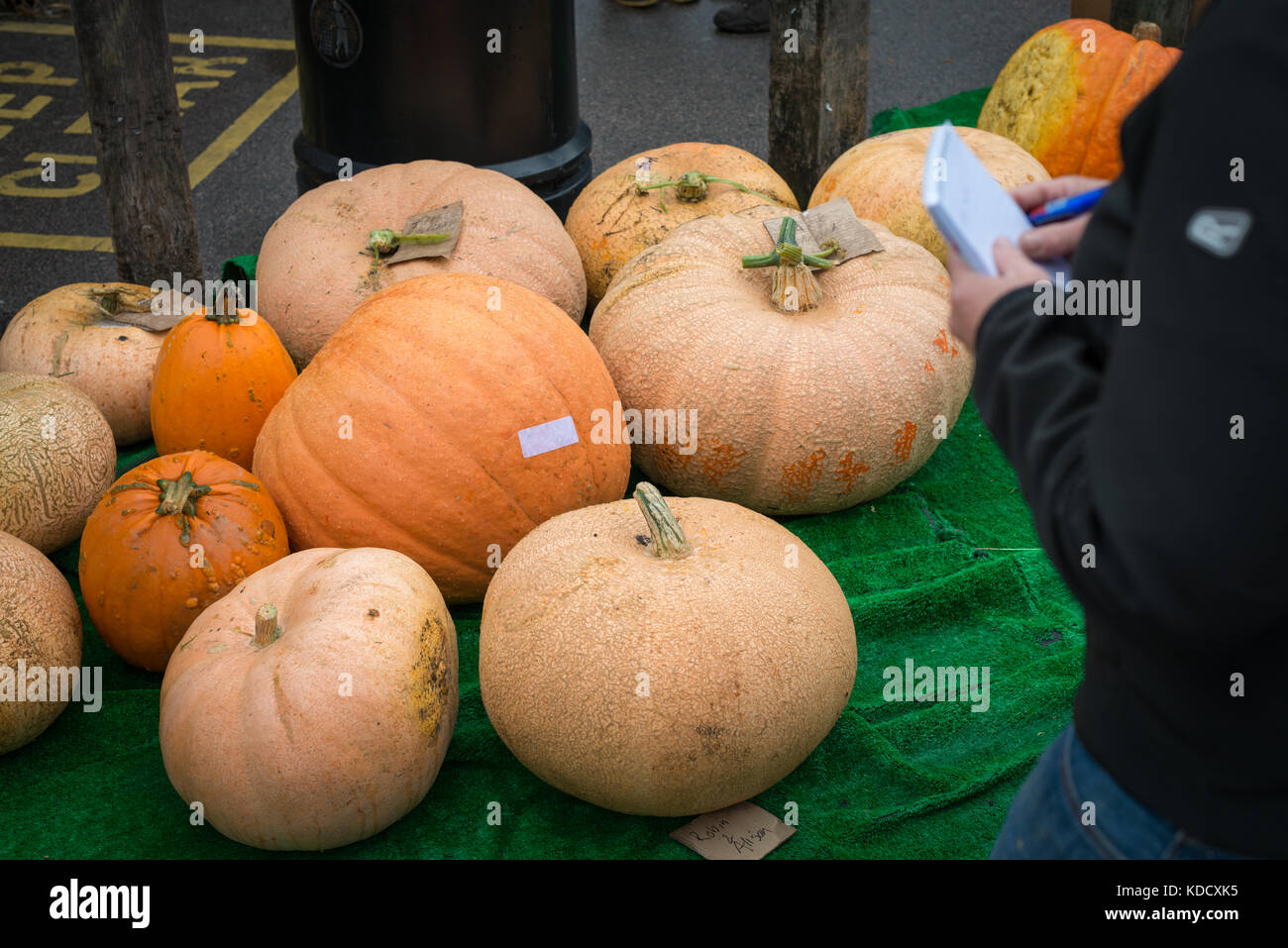 The weight of the pumpkins is recorded in a notebook during the annual ...