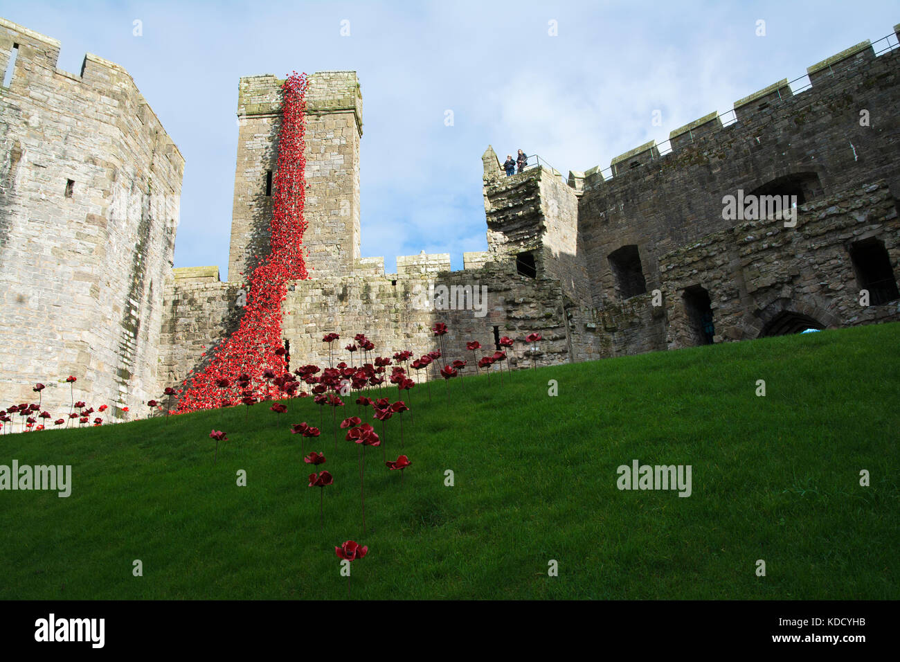 Ceramic poppy memorial hi-res stock photography and images - Alamy