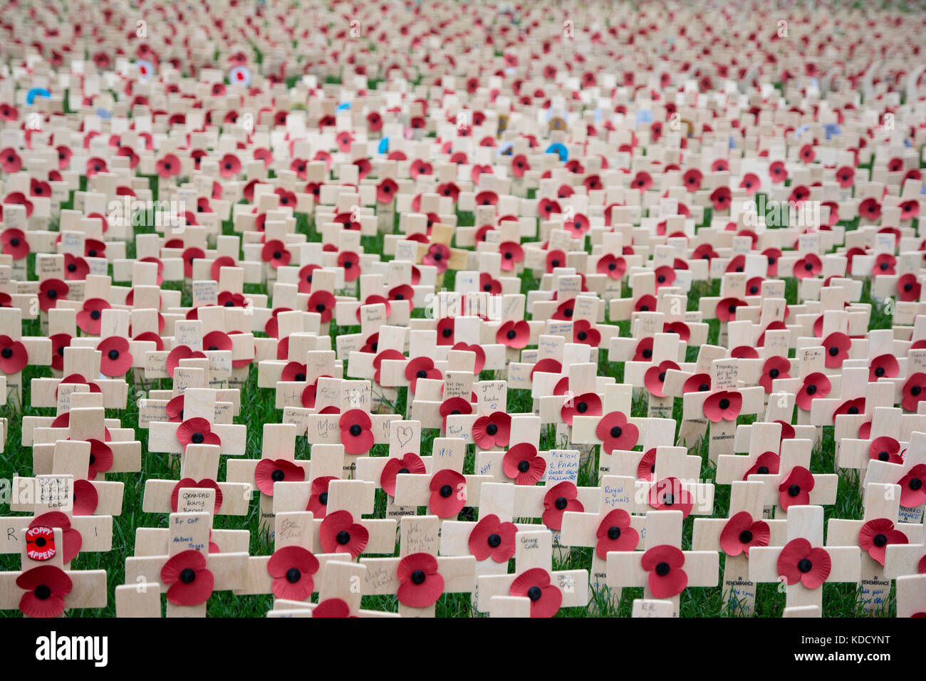 Wooden cross poppy hi-res stock photography and images - Alamy