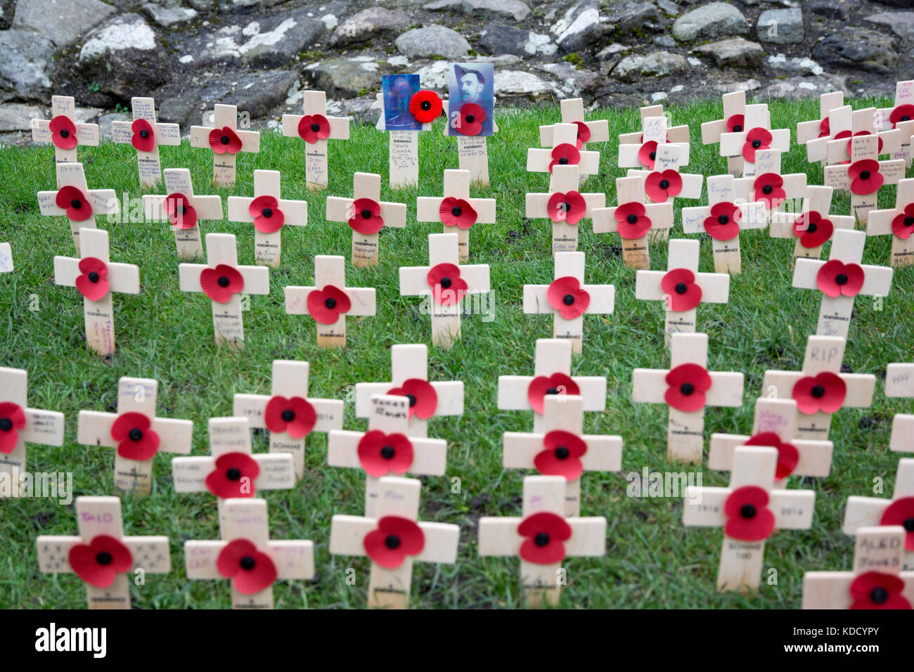 Poppy remembrance wooden cross hi-res stock photography and images - Alamy