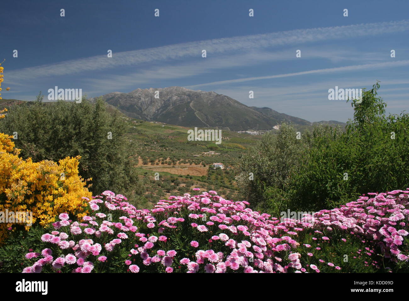 Spanish mountain view with flowers Stock Photo - Alamy