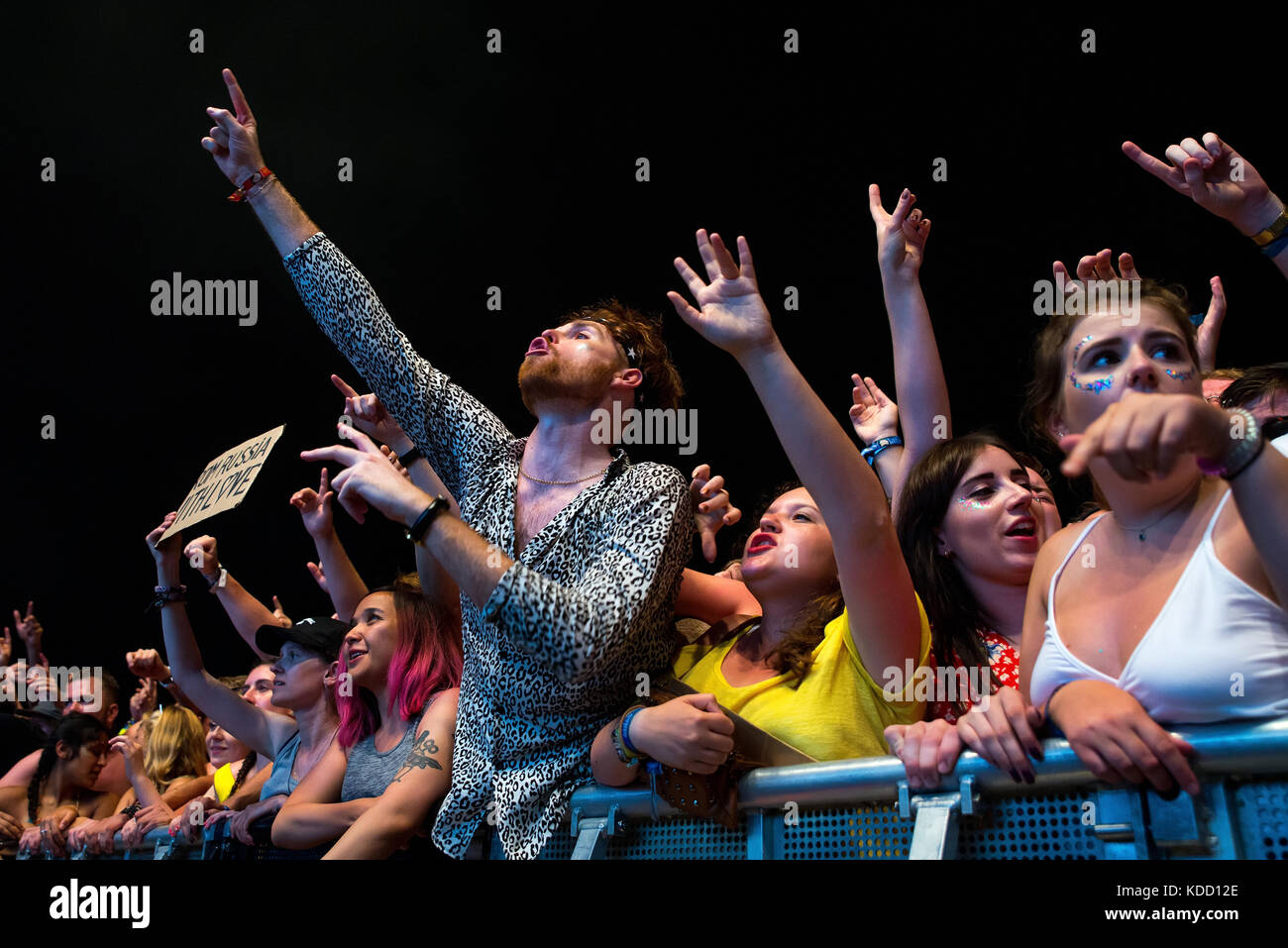 BENICASSIM, SPAIN - JUL 13: Crowd in a concert at FIB Festival on July ...
