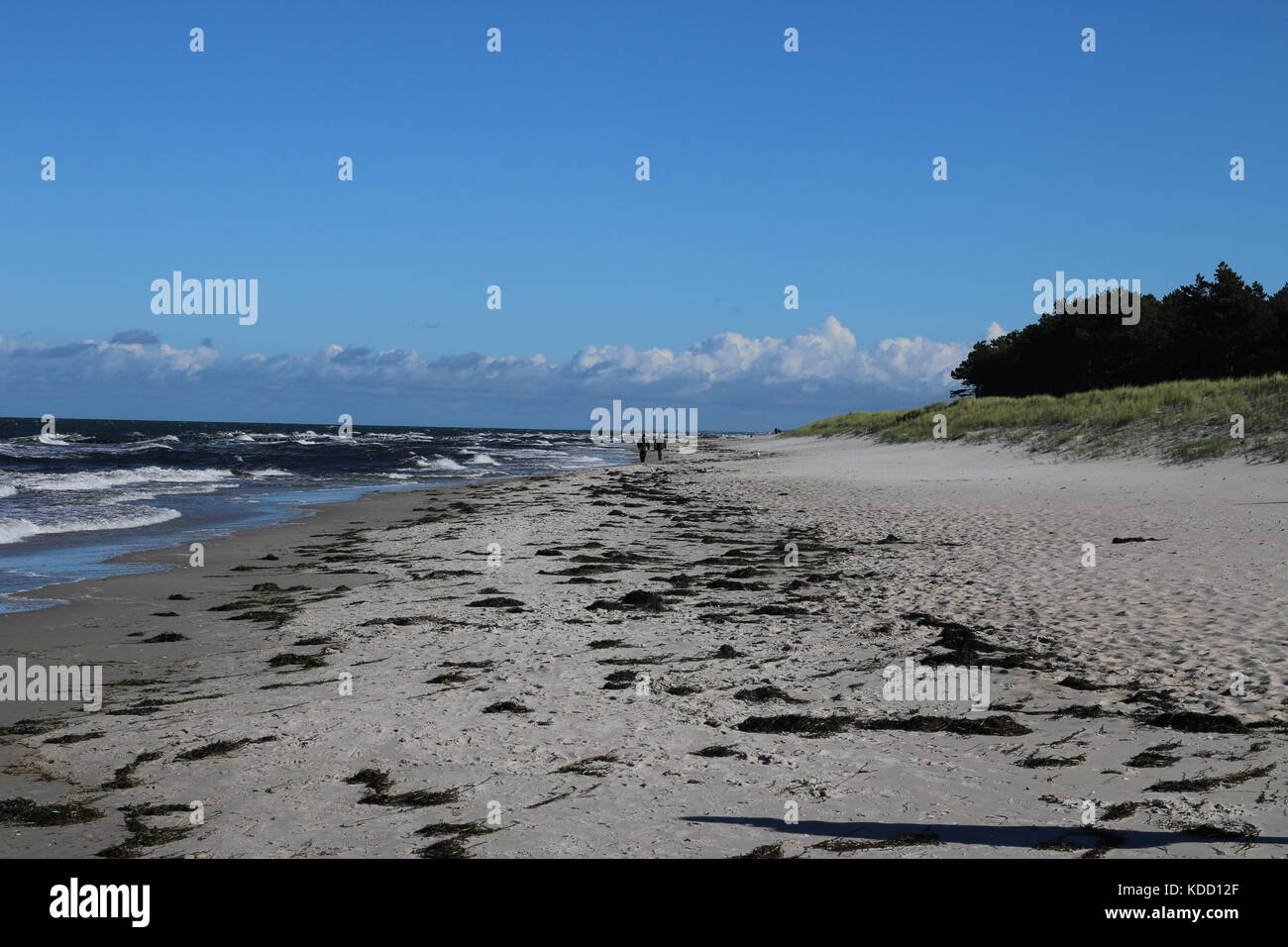 The German coast of the Baltic Sea Stock Photo - Alamy