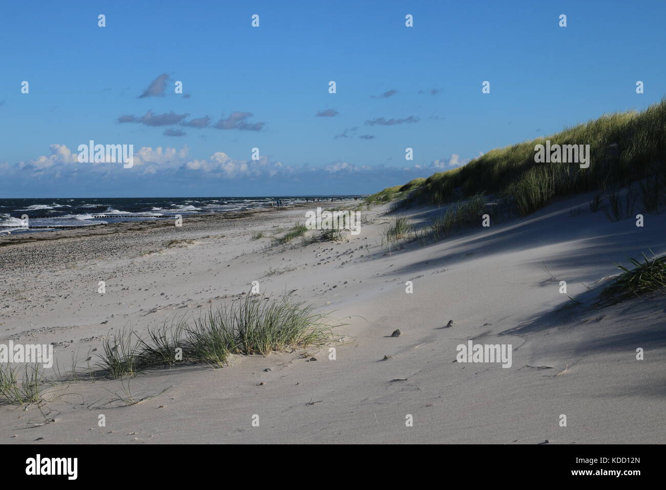 Darss zingst leisure hi-res stock photography and images - Alamy