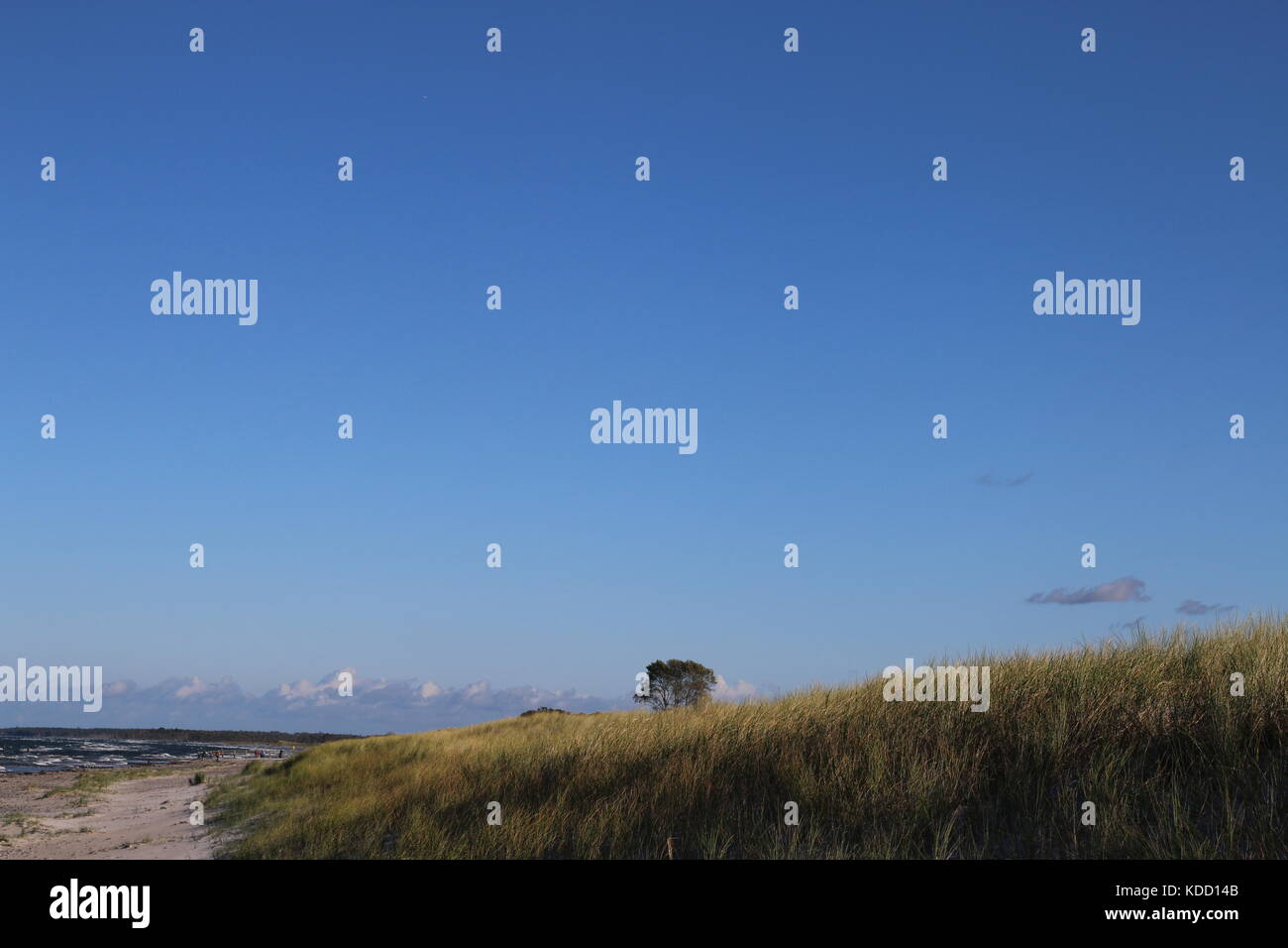 The baltic sea beach near prerow hi-res stock photography and images ...
