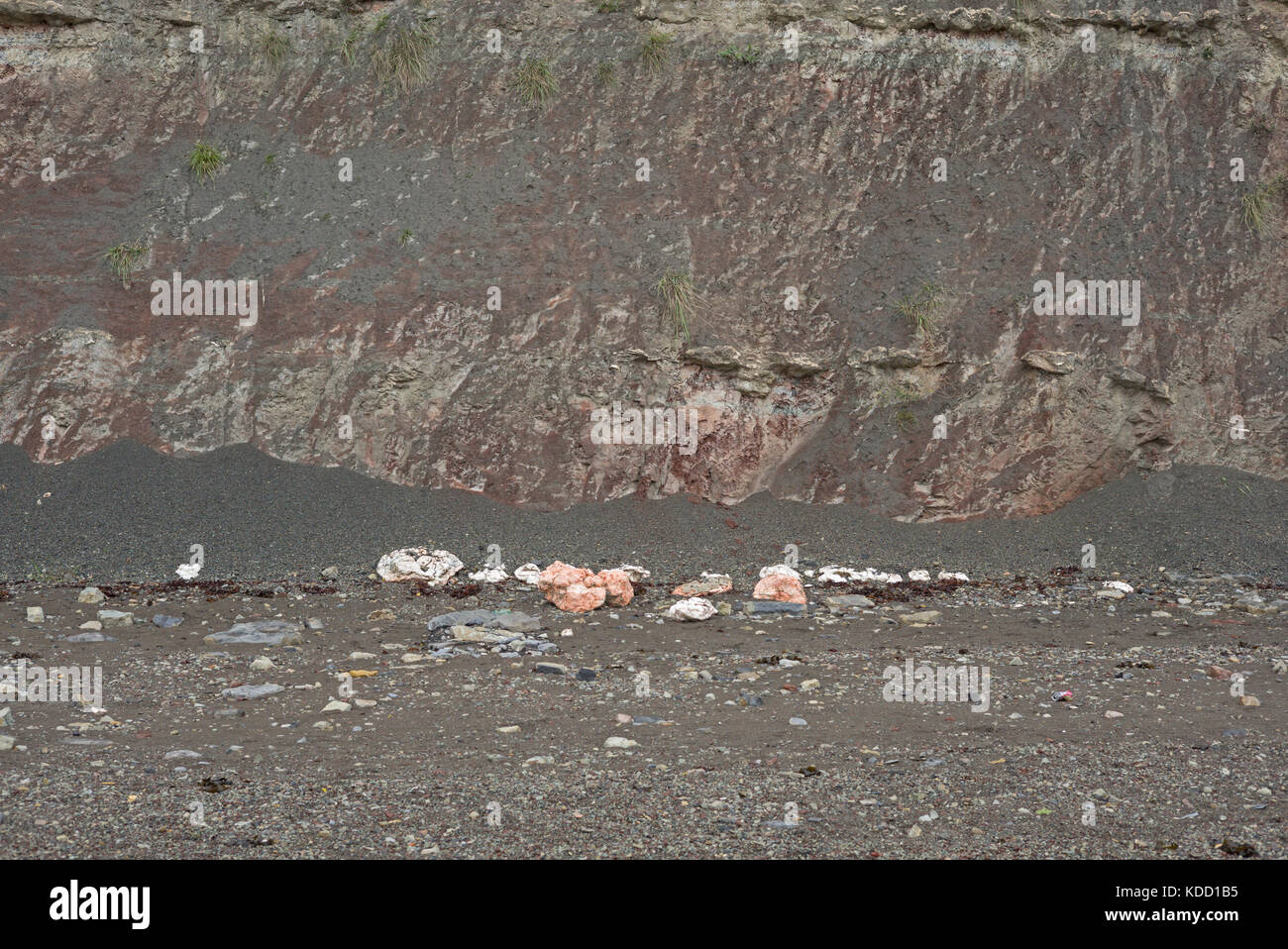Fallen rock and rock strata in cliffs near Penarth Head, Penarth, Wales ...