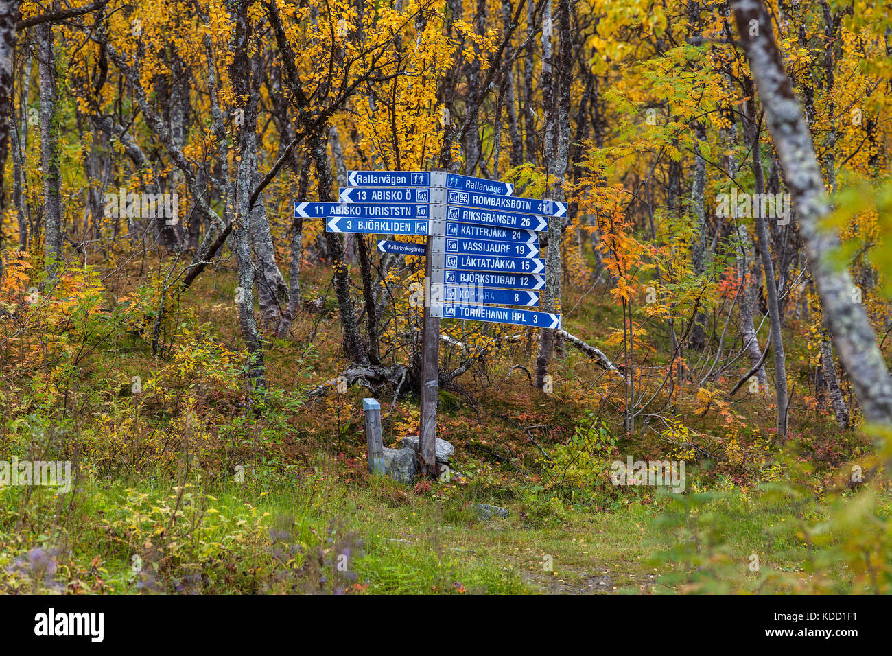 Sign poles by the side of a Navvy Road Trail. Colorful trees, forest in ...