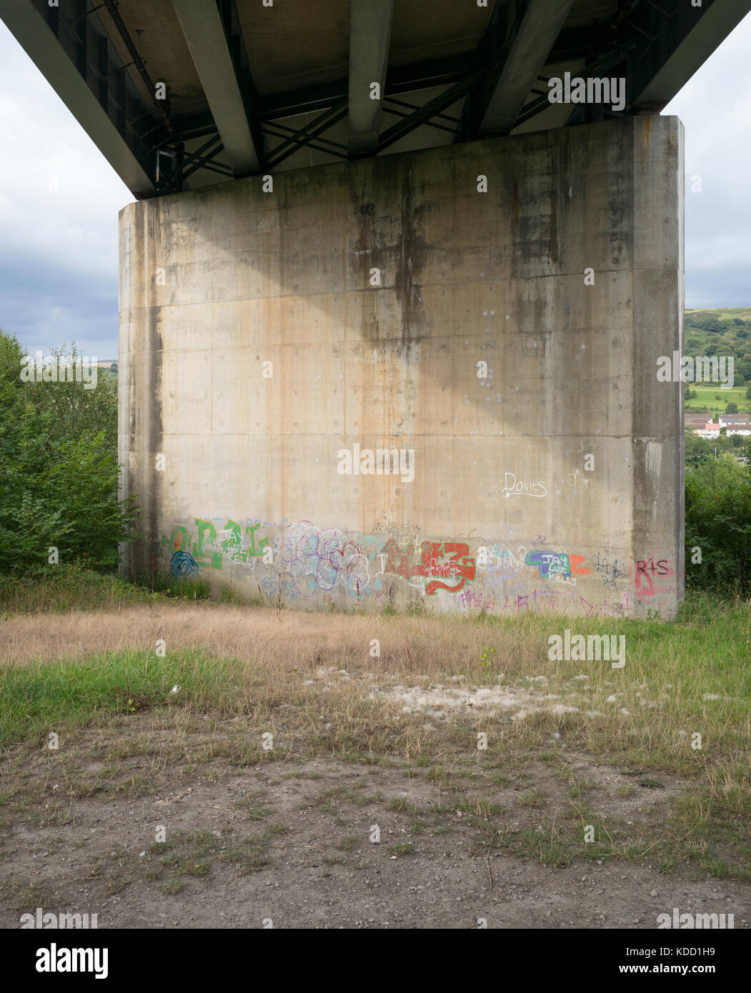 Concrete pier with graffiti and underside of deck of road bridge across ...