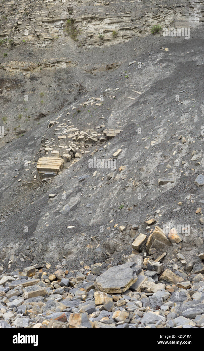 Penarth cliffs hi-res stock photography and images - Alamy