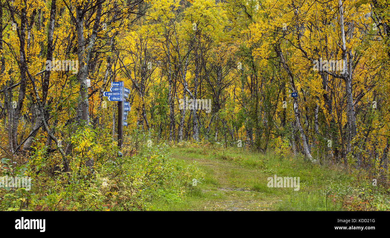 Sign poles by the side of a Navvy Road Trail. Colorful trees, forest in ...