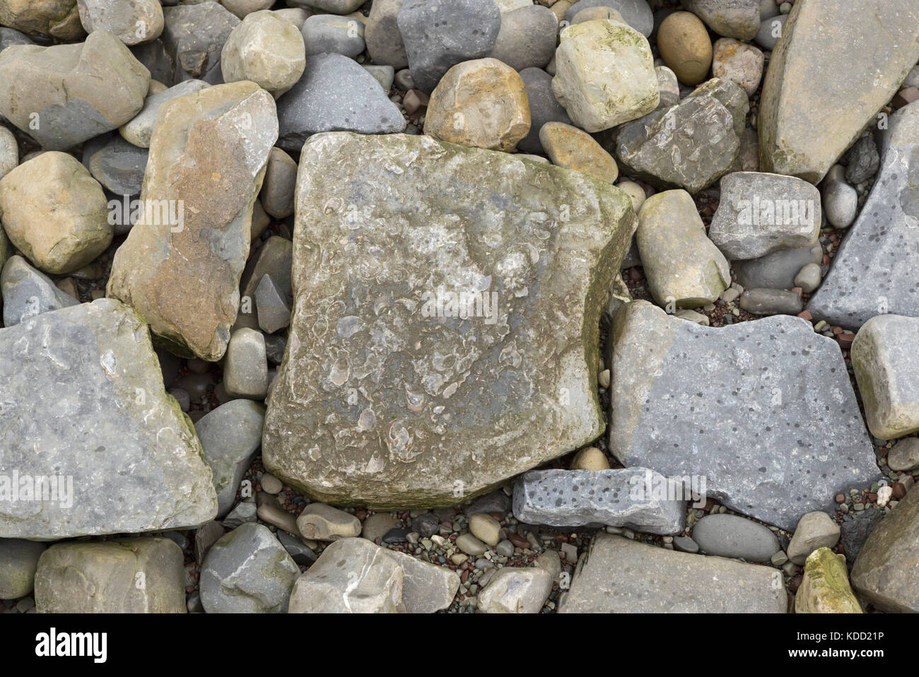 Pebbles and loose rocks on beach near Penarth Head, Penarth, Wales, UK ...