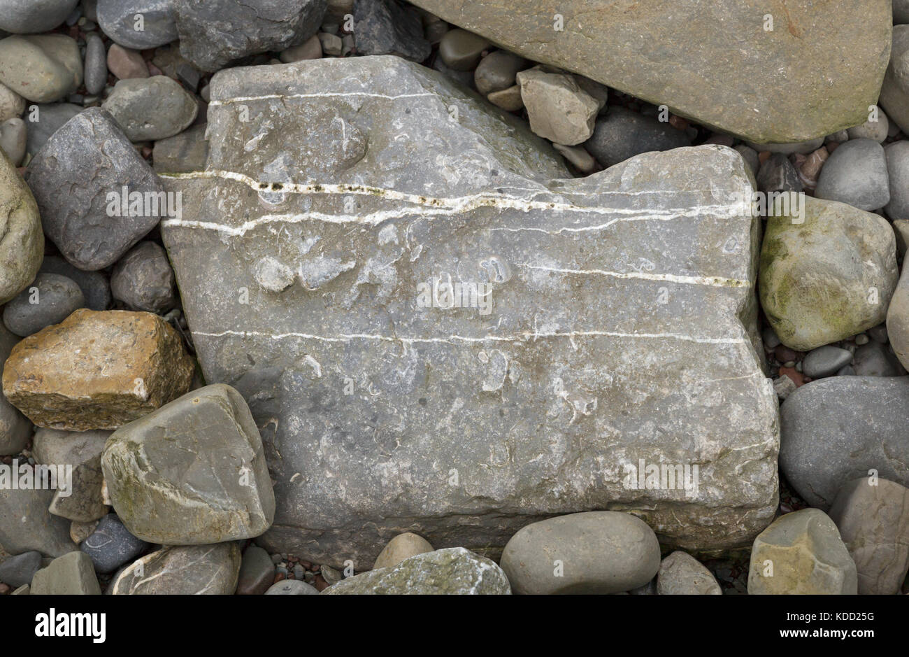 Pebbles and loose rocks with quartz vein on beach near Penarth Head ...