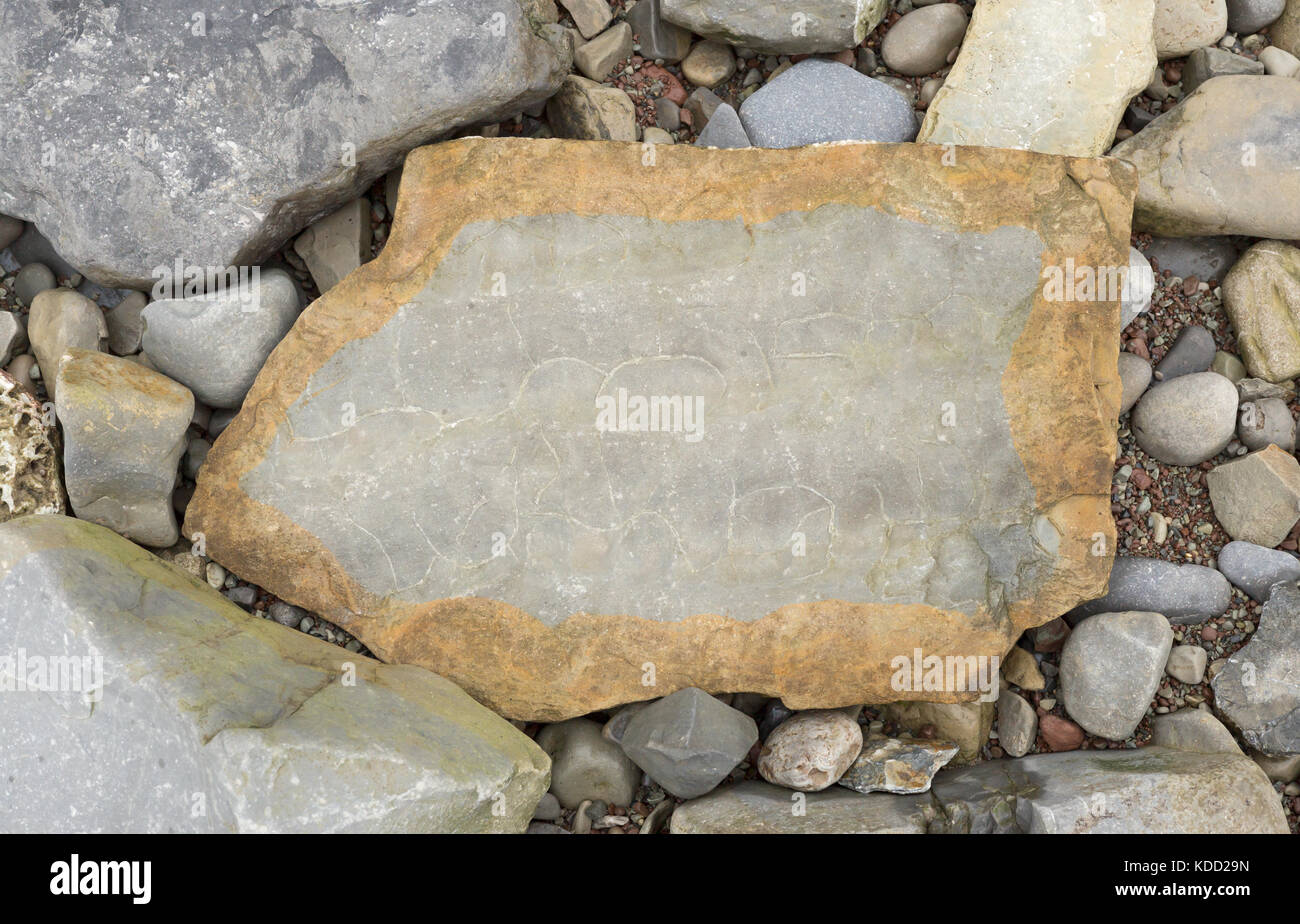 Pebbles and loose rocks on beach near Penarth Head, Penarth, Wales, UK ...