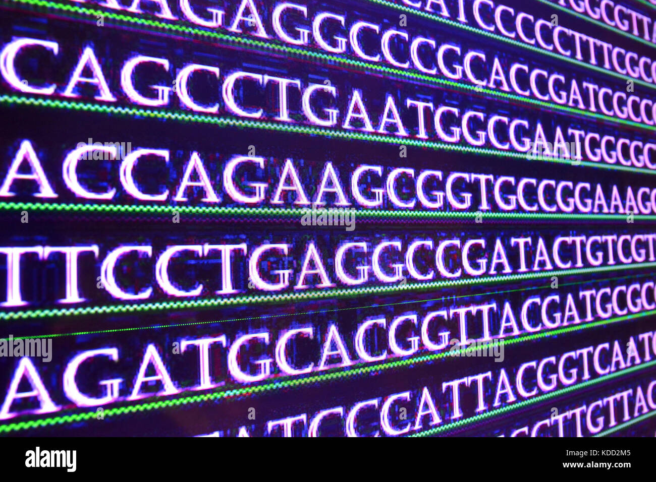 Human evolution sequence hi-res stock photography and images - Alamy