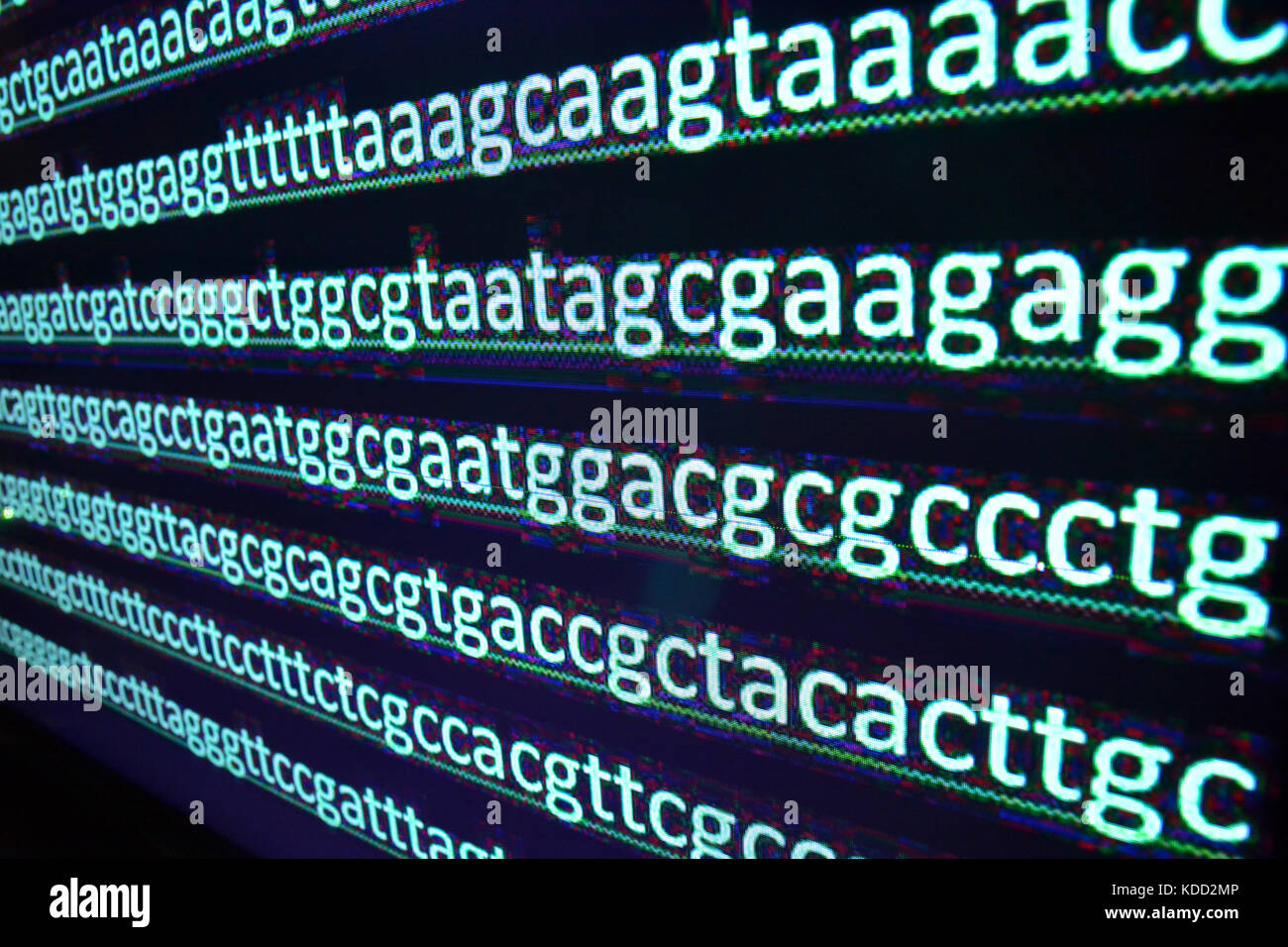 Sequencing the genome. Sequence of nucleotide bases in DNA Stock Photo ...