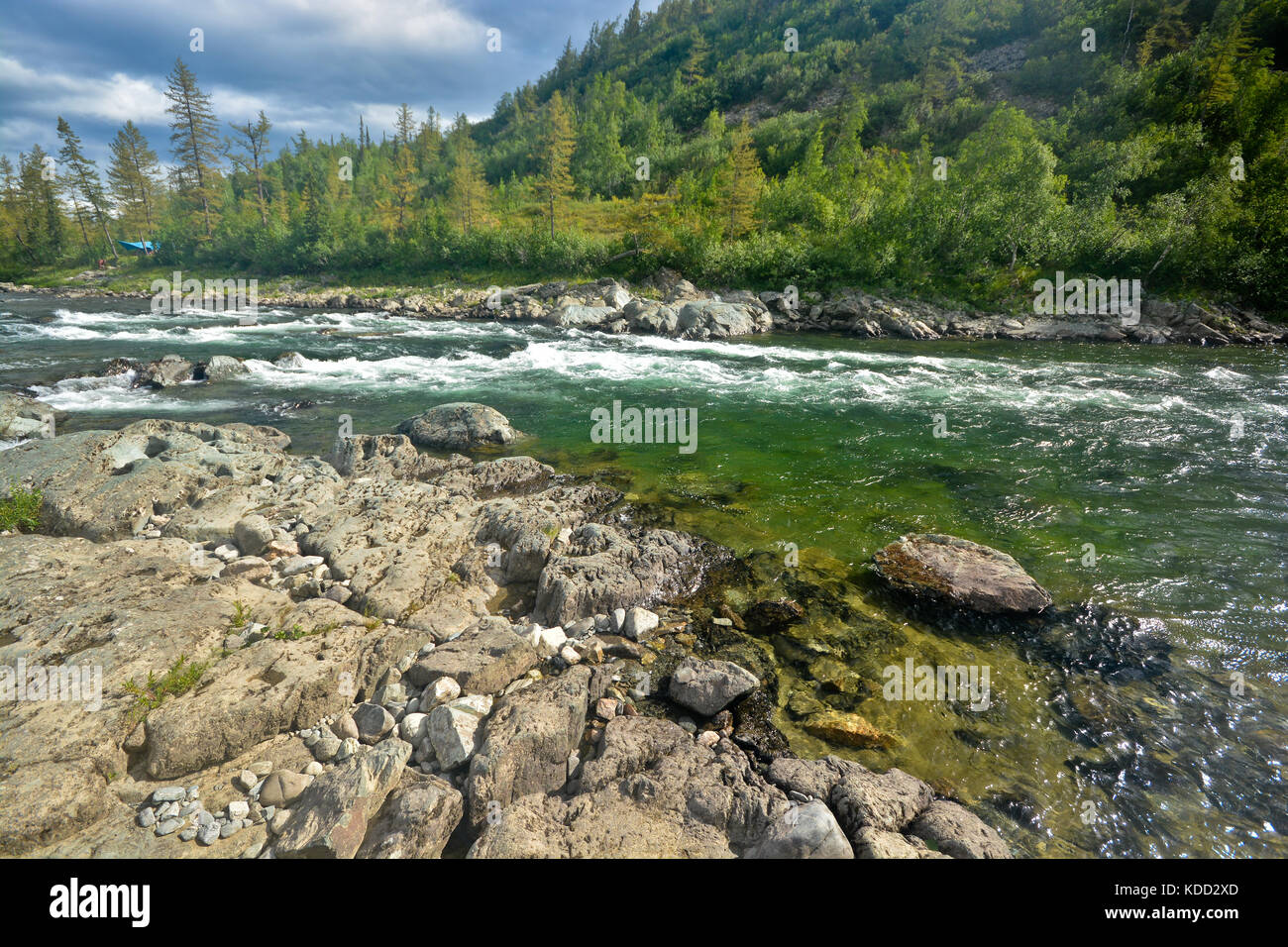 River rapids in the Polar Urals. Summer northern water landscape Stock ...