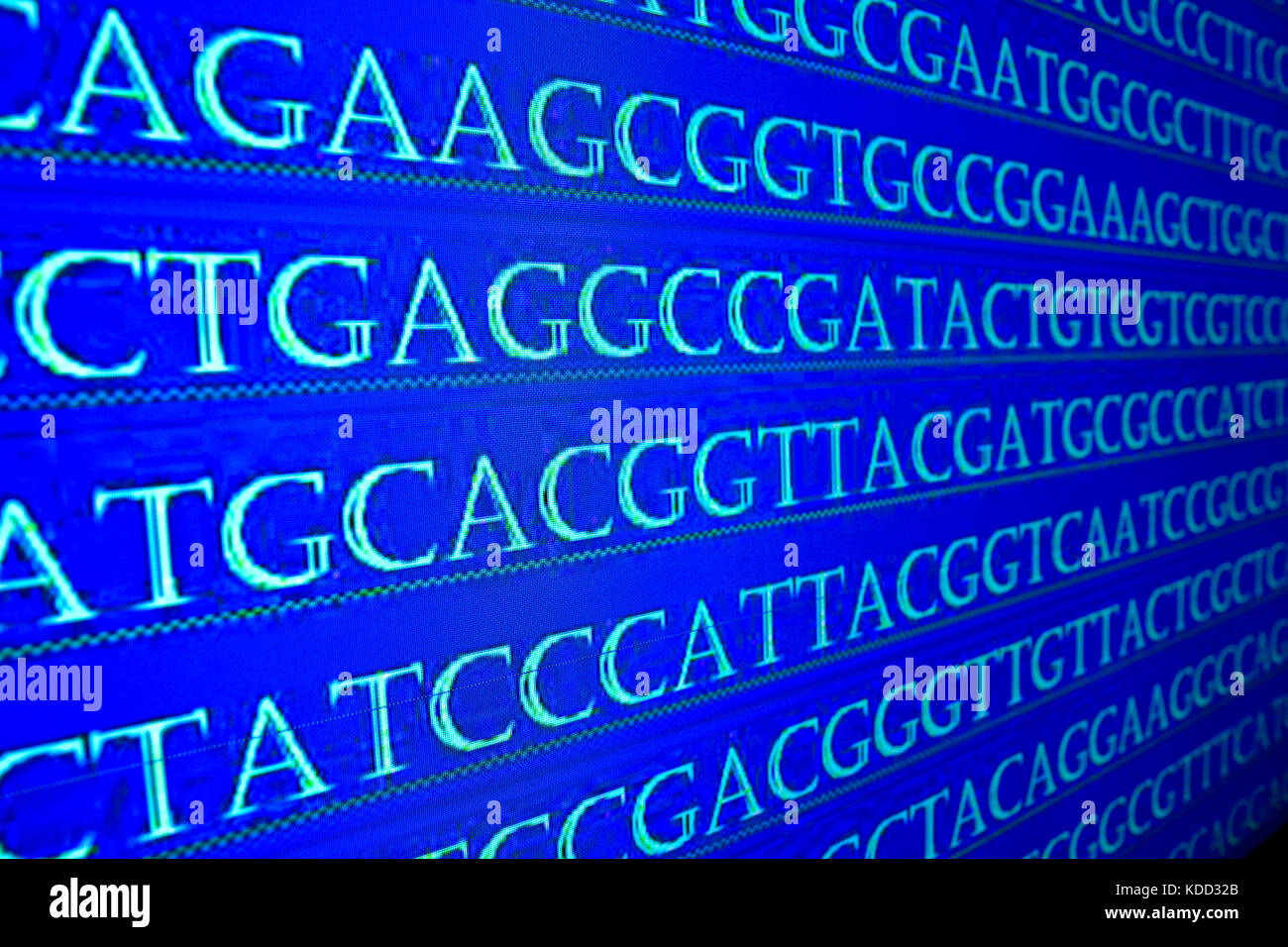 Human evolution sequence hi-res stock photography and images - Alamy