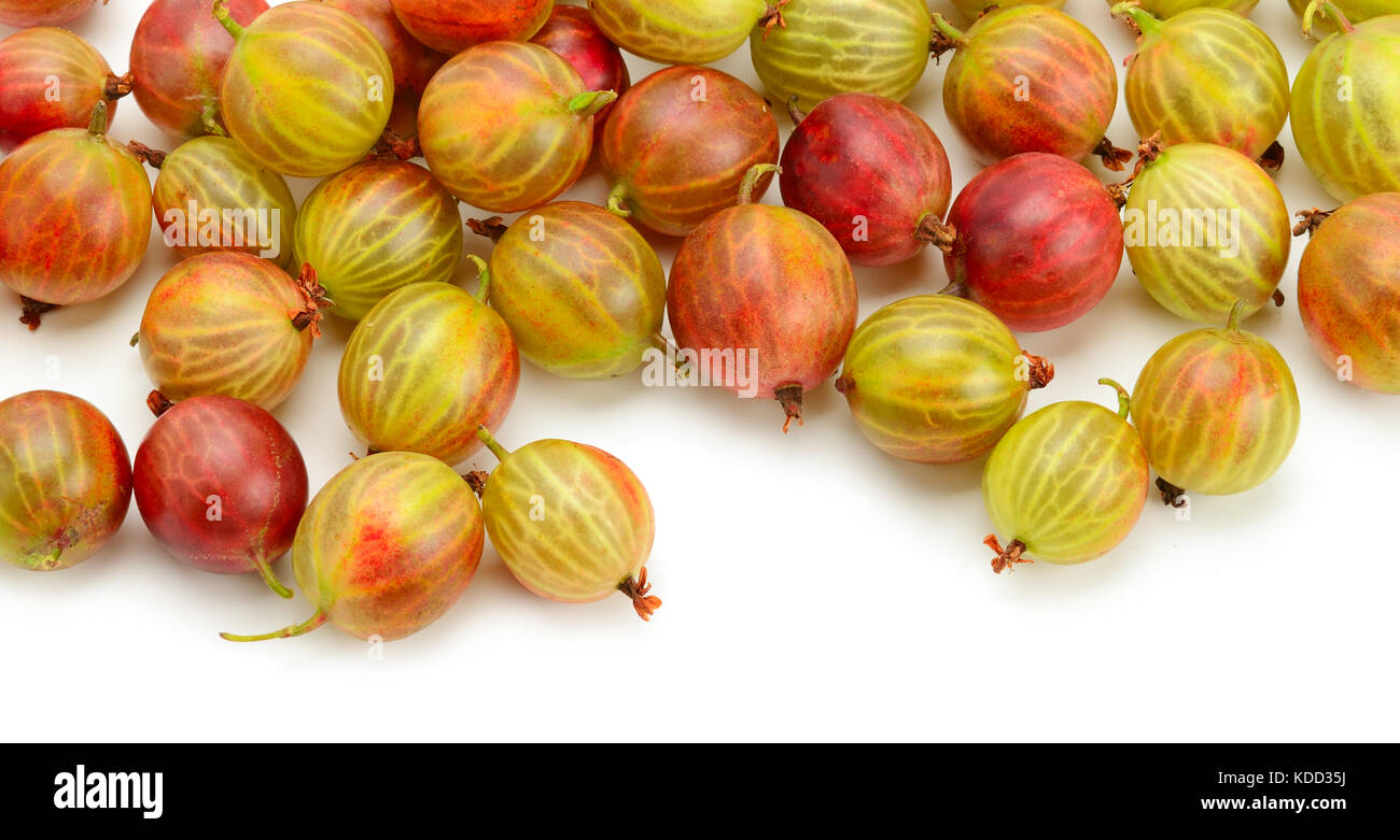 Big ripe gooseberries isolated on a white background Stock Photo - Alamy