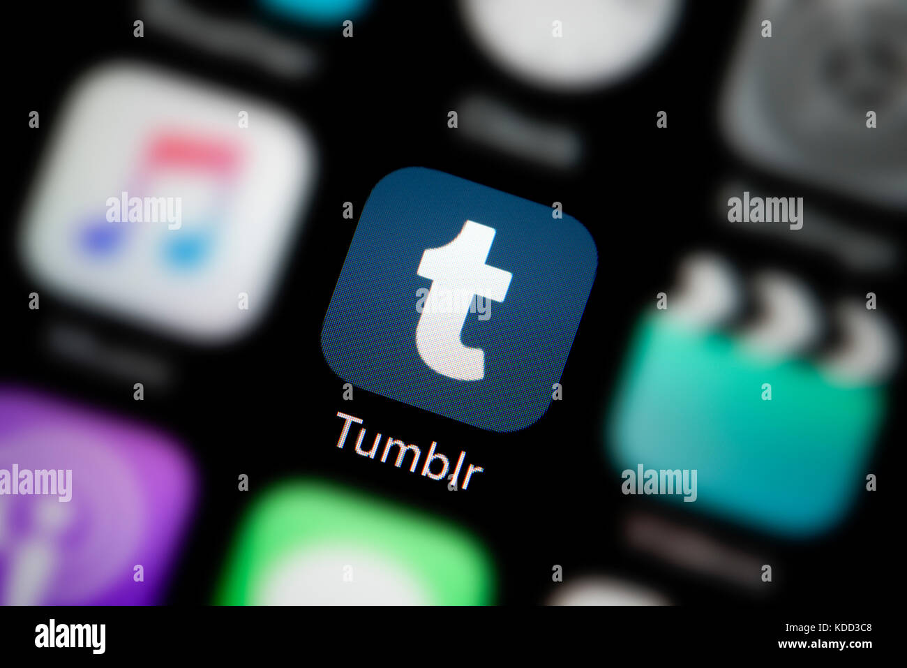A close-up shot of the logo representing Tumblr app icon, as seen on ...