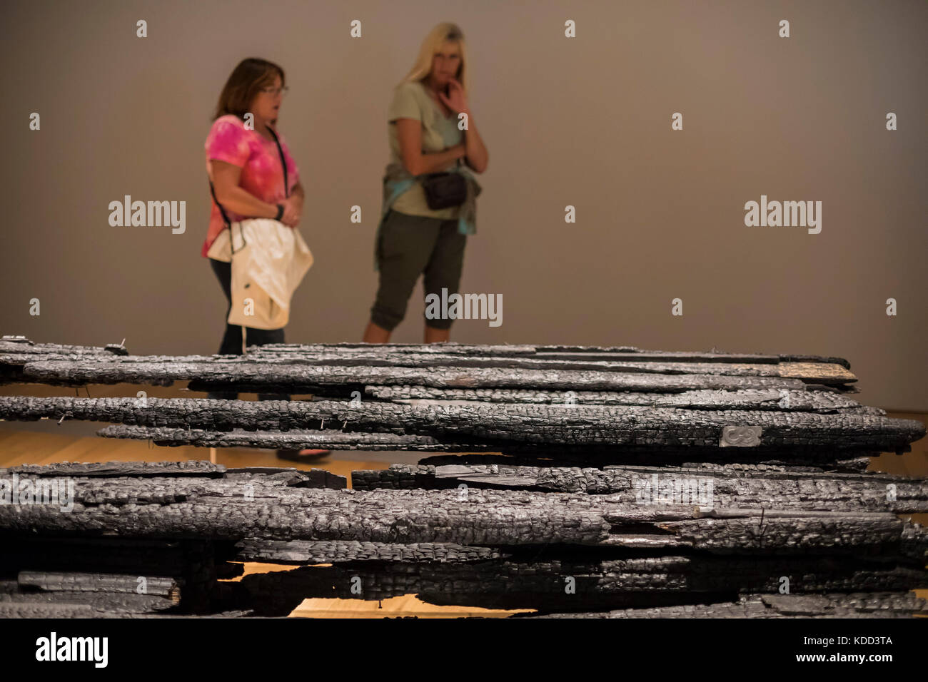 Grand Rapids, Michigan - The annual ArtPrize competition features more ...