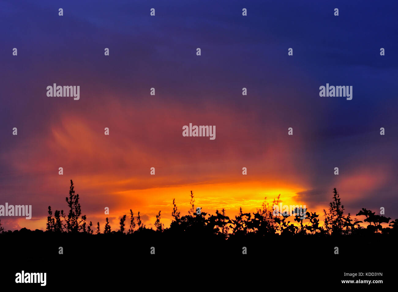 air, atmosphere, blue, climate, clouds, cumulus, nature, season, sky ...