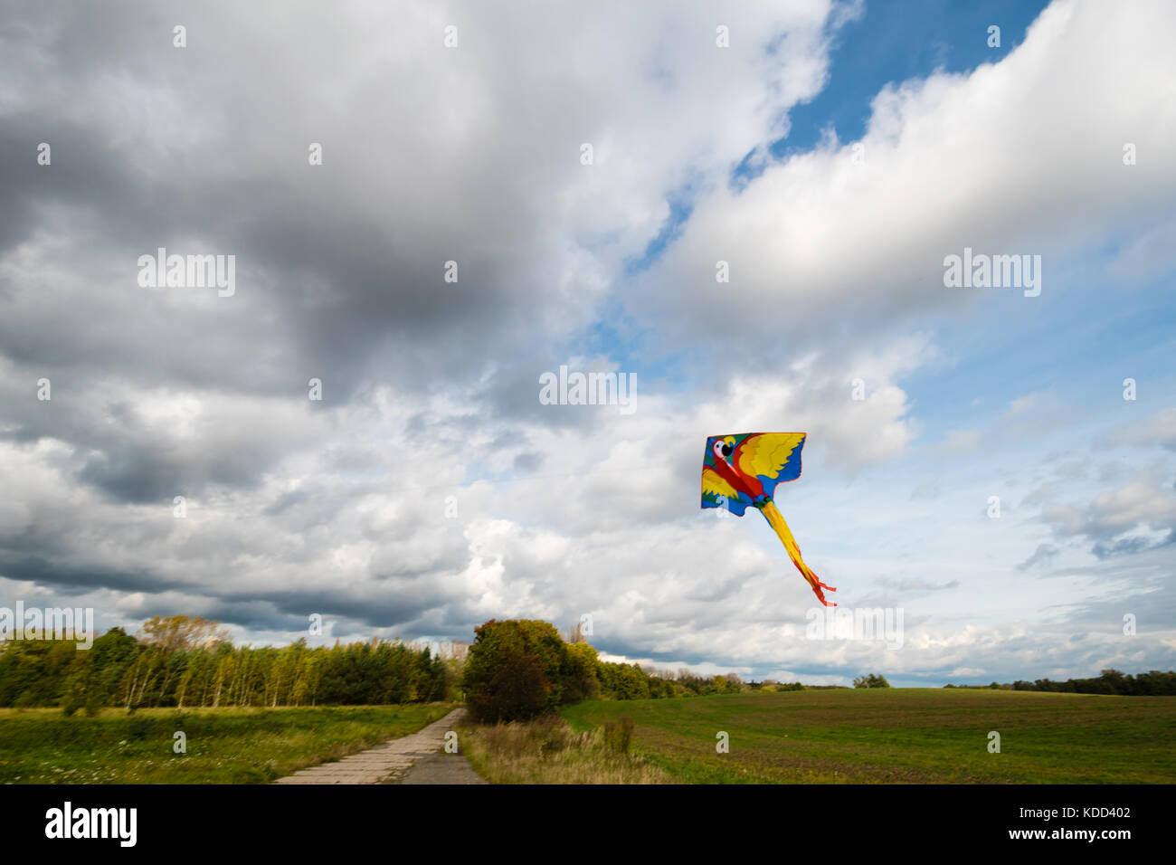 Kite flying in the air. Beautiful sky with clouds on background Stock ...