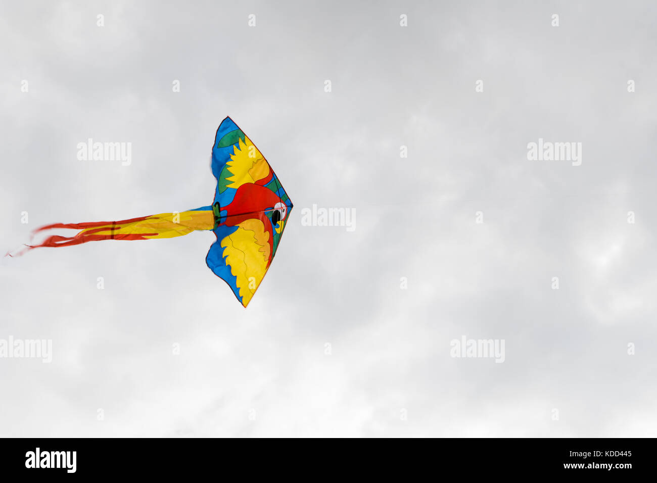 Flying kite in the air. Dark clouds on the background. Autumn windy ...