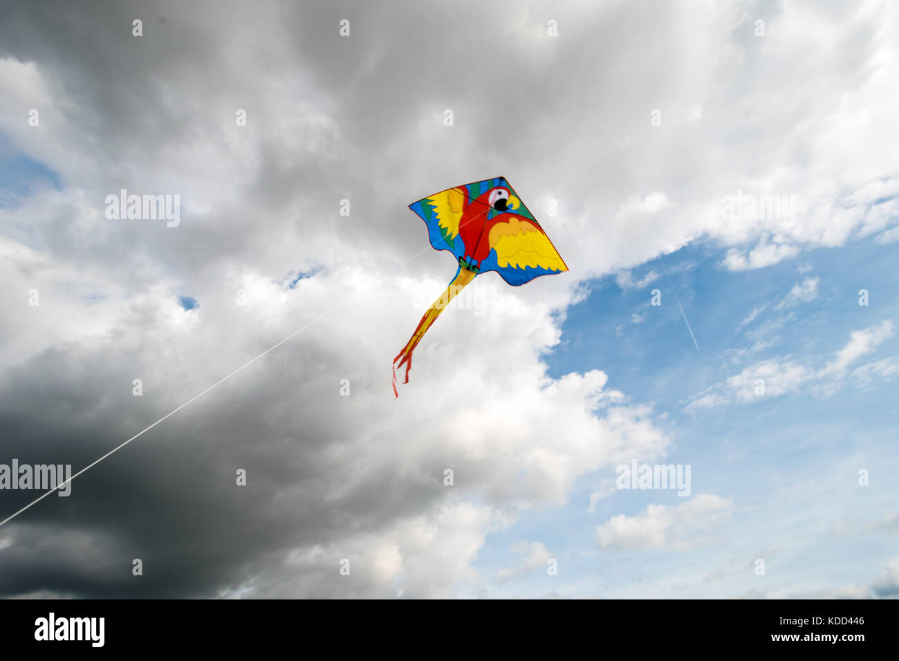 Flying kite in the air. Dark clouds on the background. Autumn windy ...