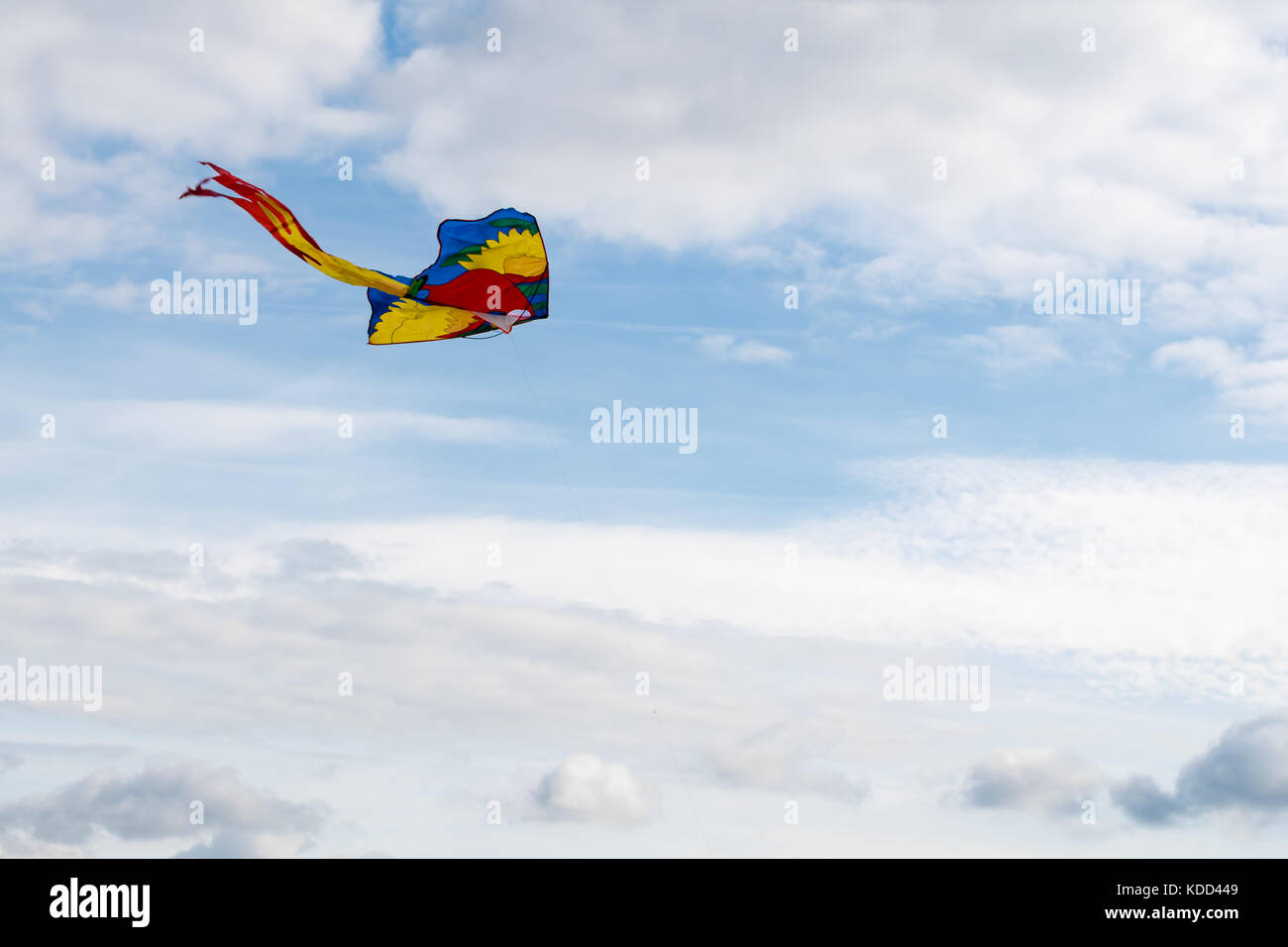 Flying kite in the air. Dark clouds on the background. Autumn windy ...