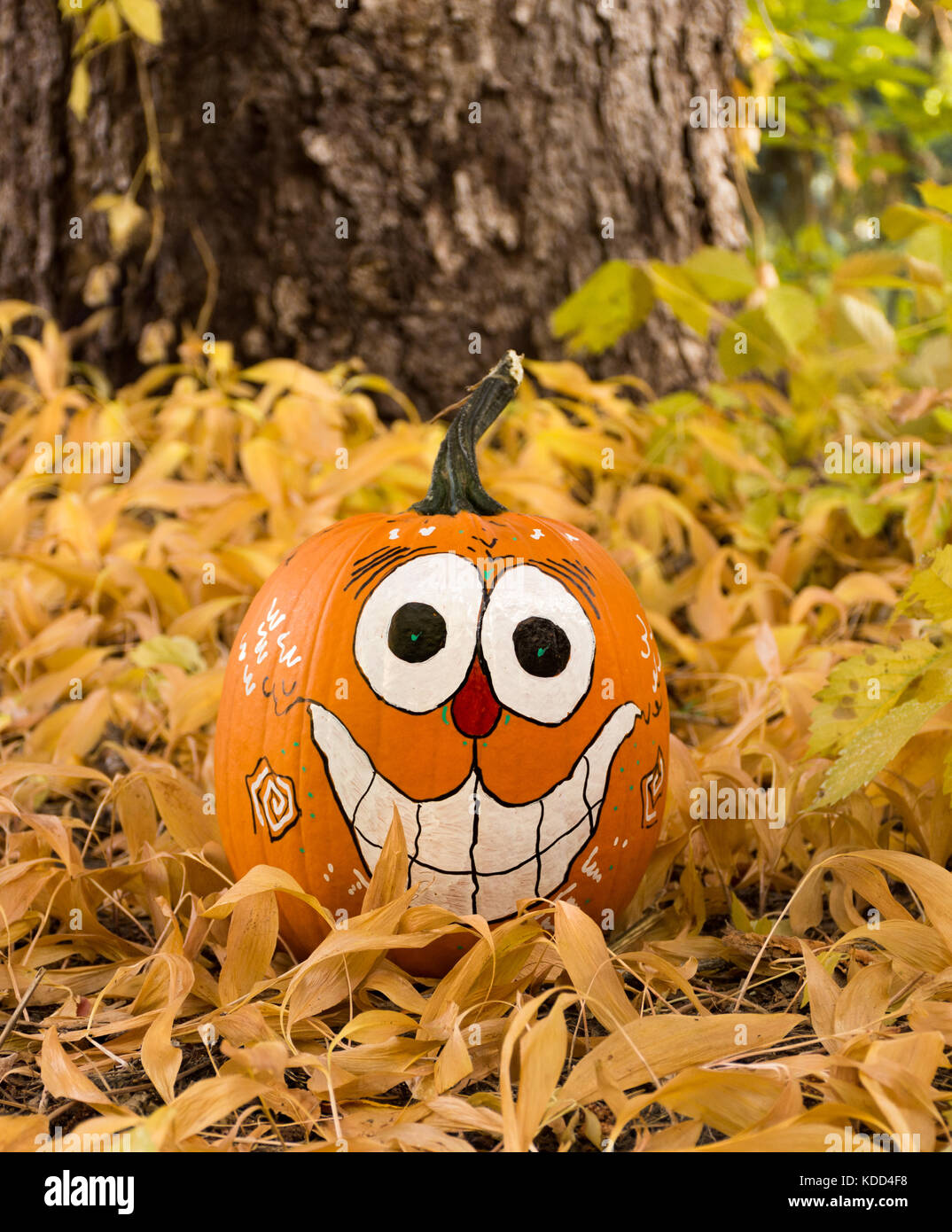 Close up of a handpainted jack o'lantern among dried leaves with a tree ...