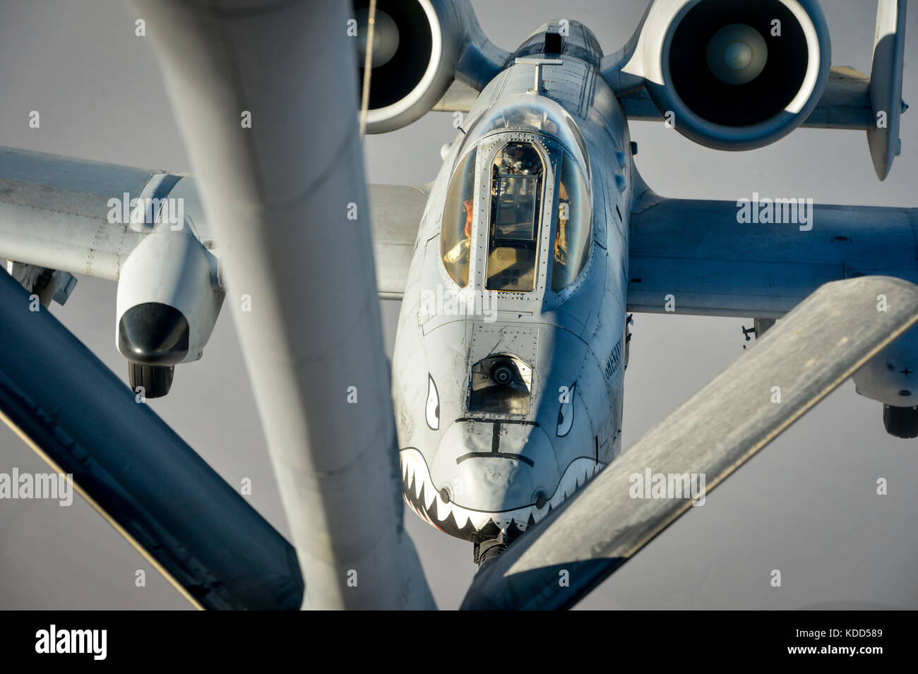 A 10 thunderbolt ii warthog hi-res stock photography and images - Alamy