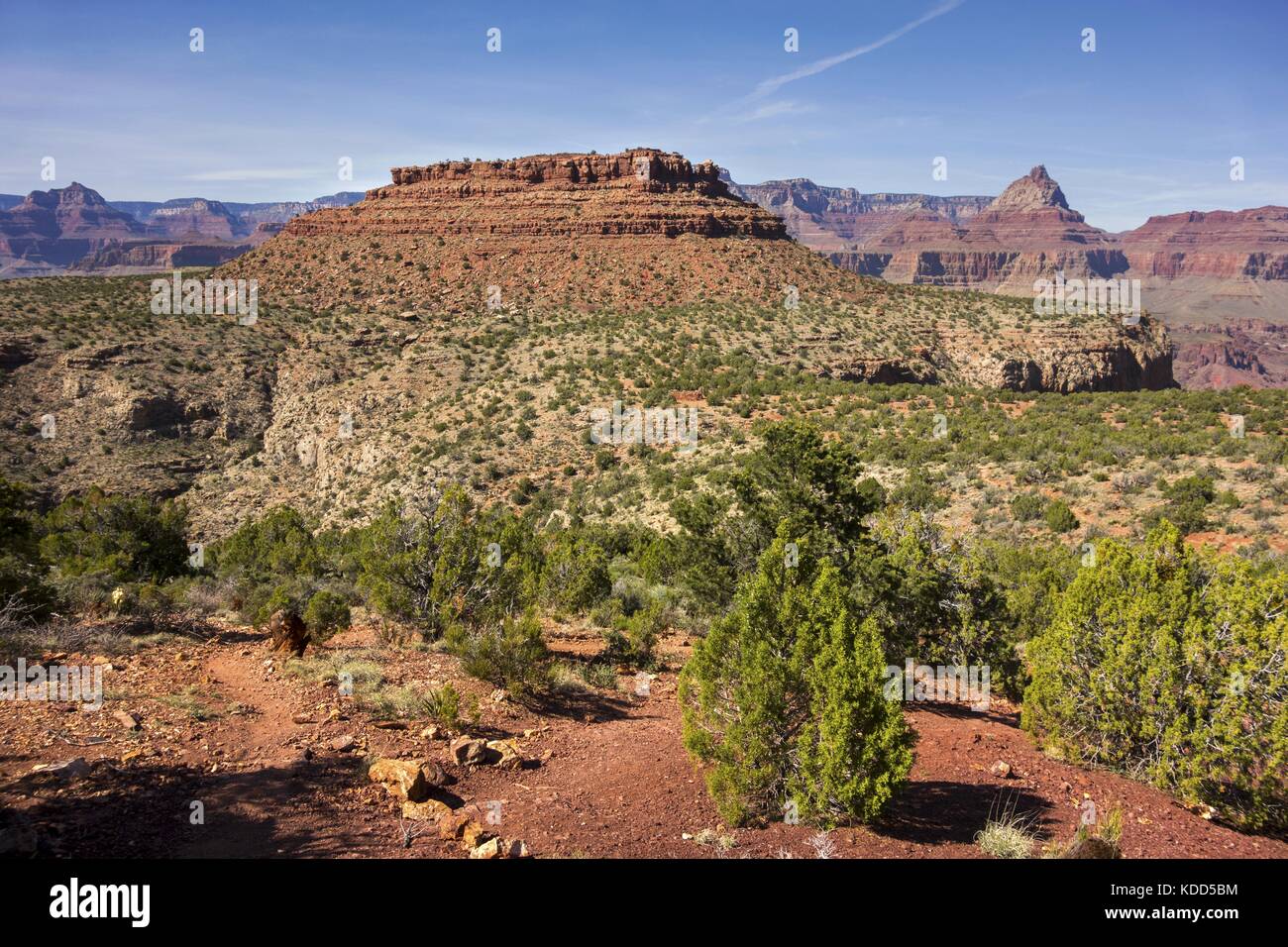 Vishnu World Stock Photos & Vishnu World Stock Images - Alamy
