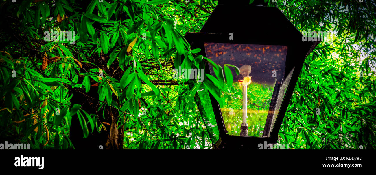 A gas lamp sits in the shade of trees at historic Occoquan, Virginia ...
