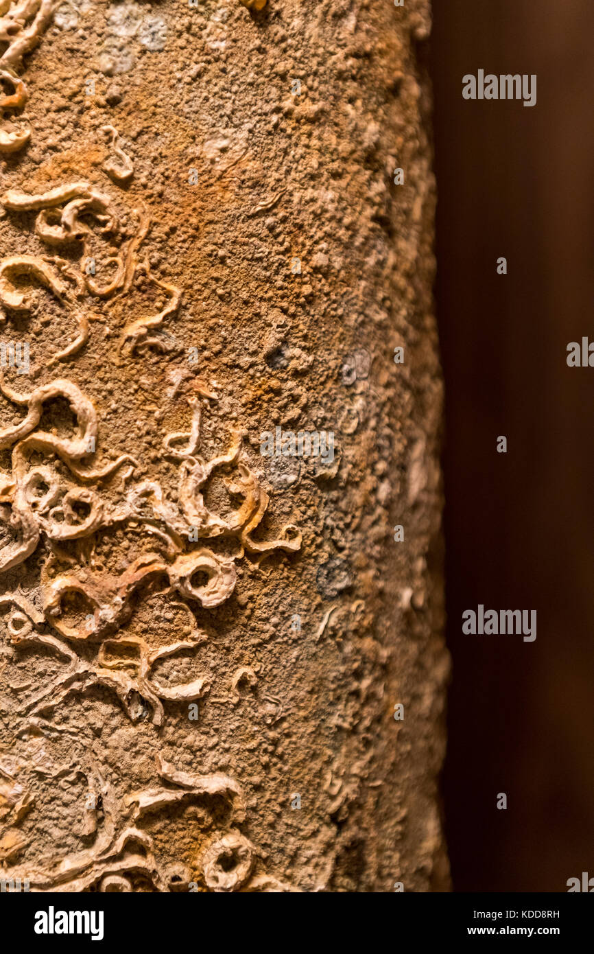 Key exhibits from the World War 2 Dunkirk evacuation at Operation ...