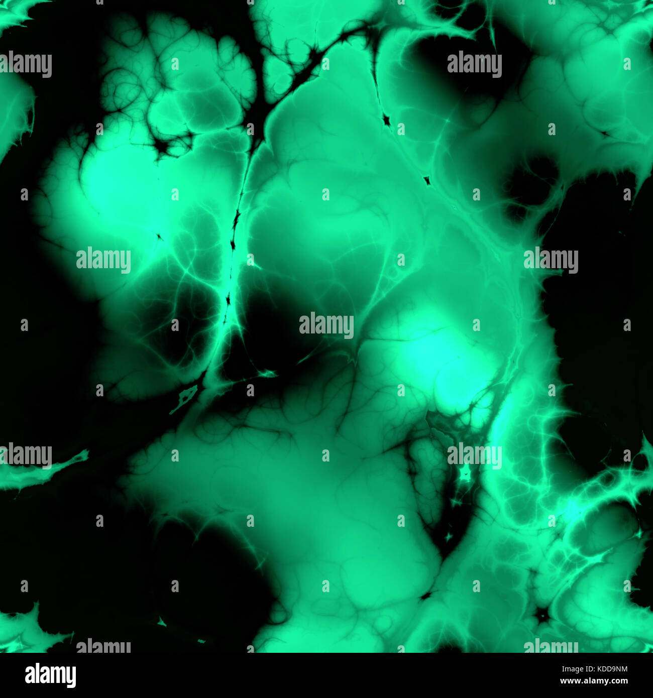 Organic matter and tissue under microscope magnification Stock Photo ...